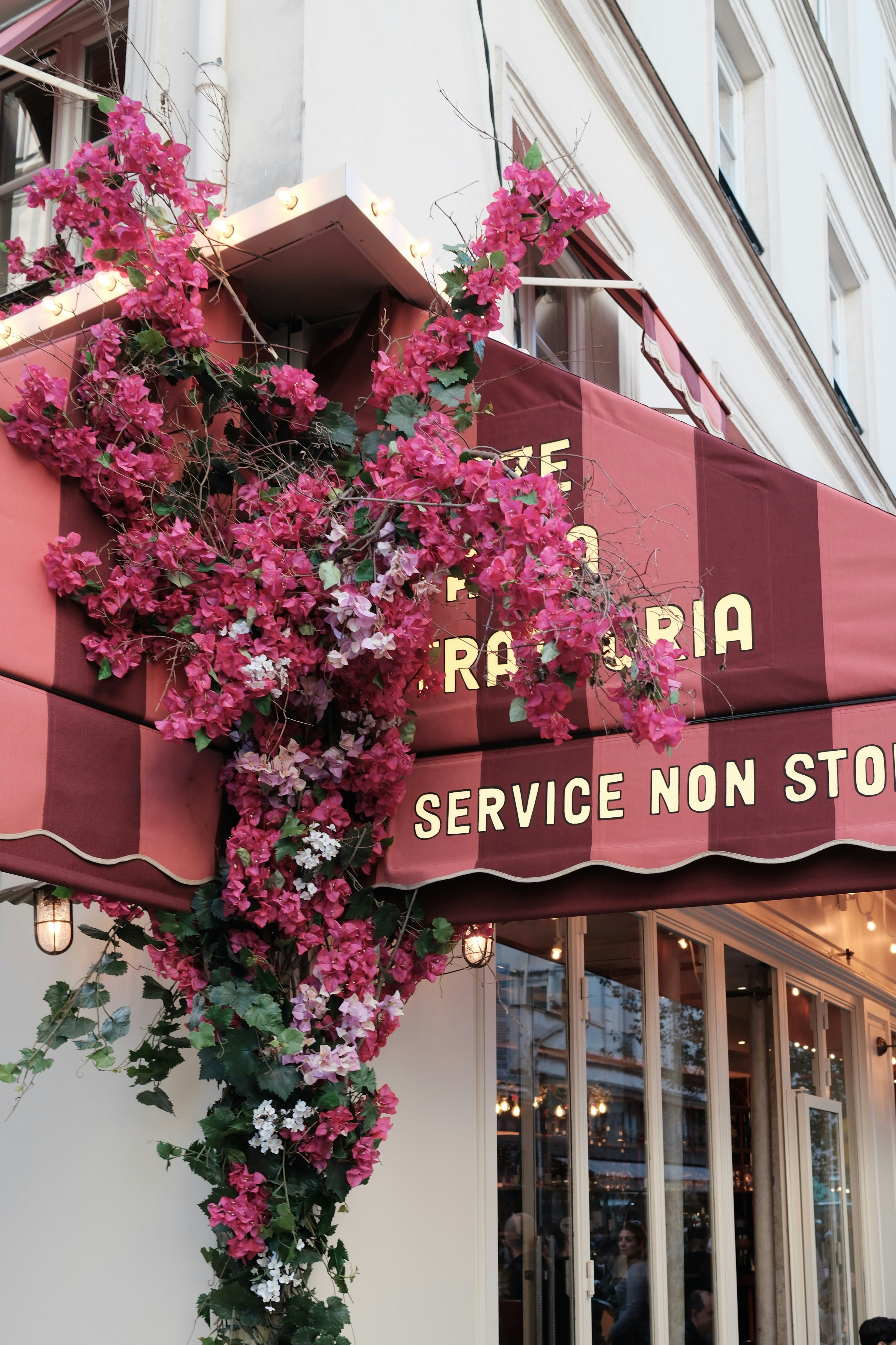 Bougainvillea Bloom on a Maroon Café Canopy