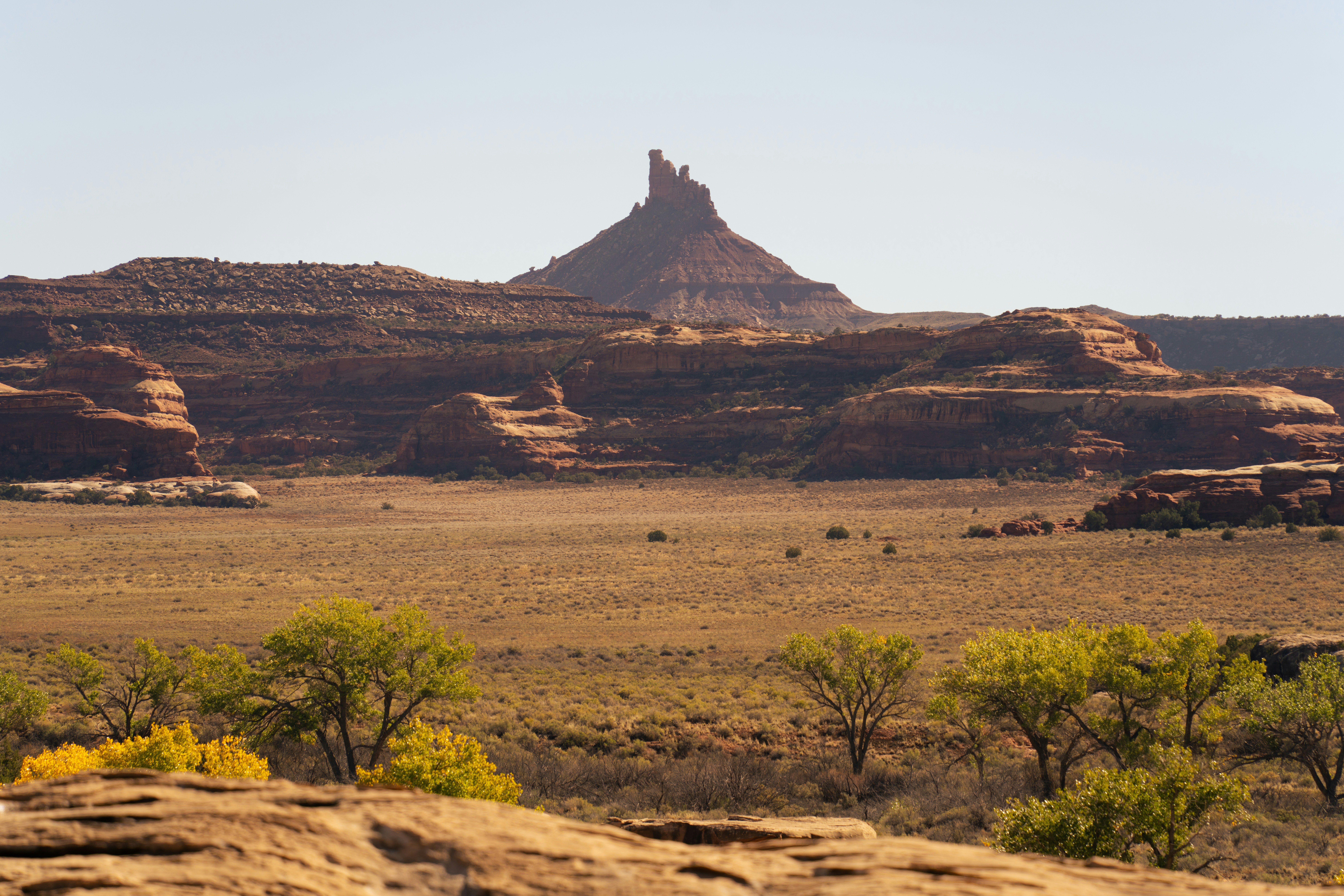 Desert landscape with rock formations and sparse trees