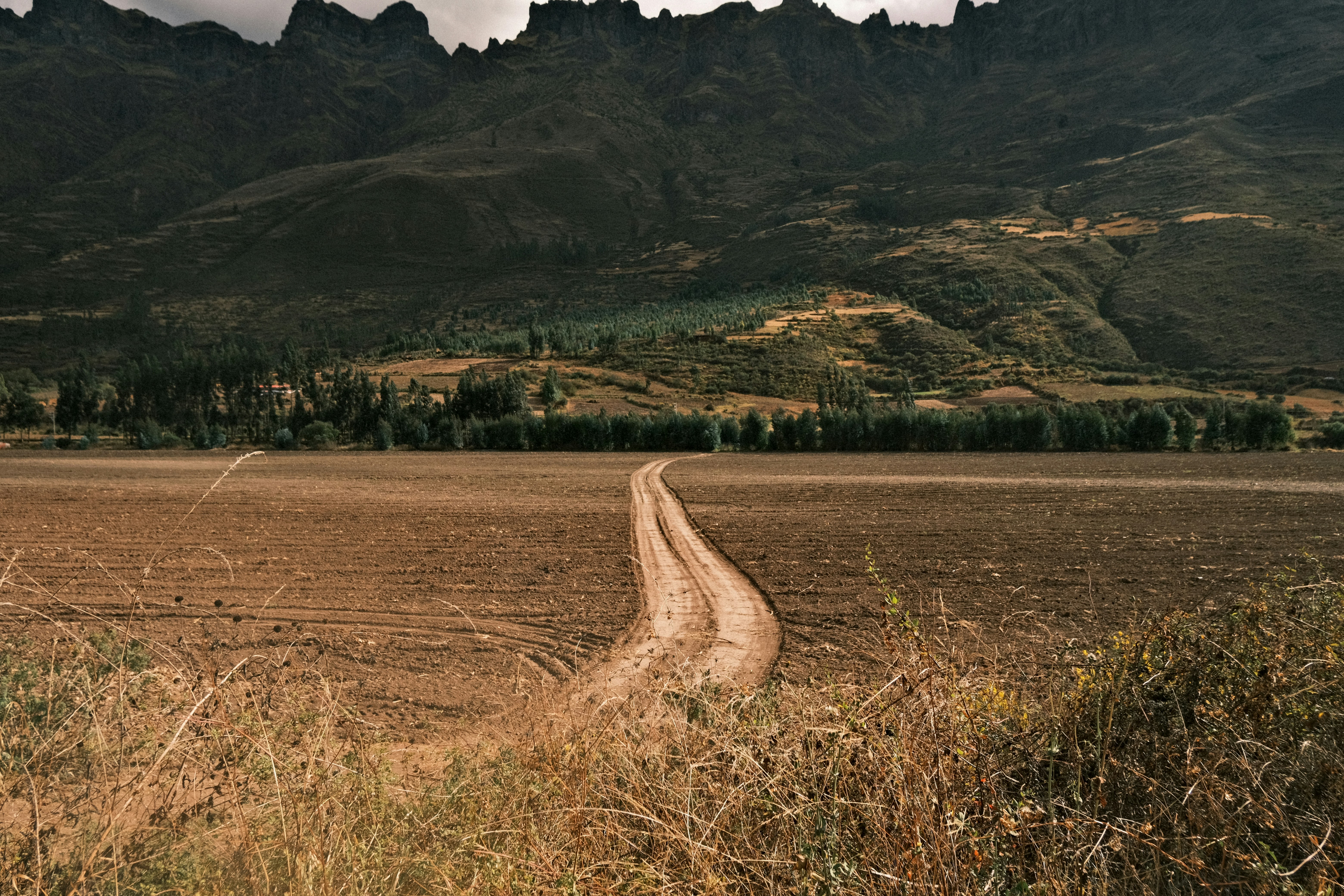 Winding Path Through Serene Valleys