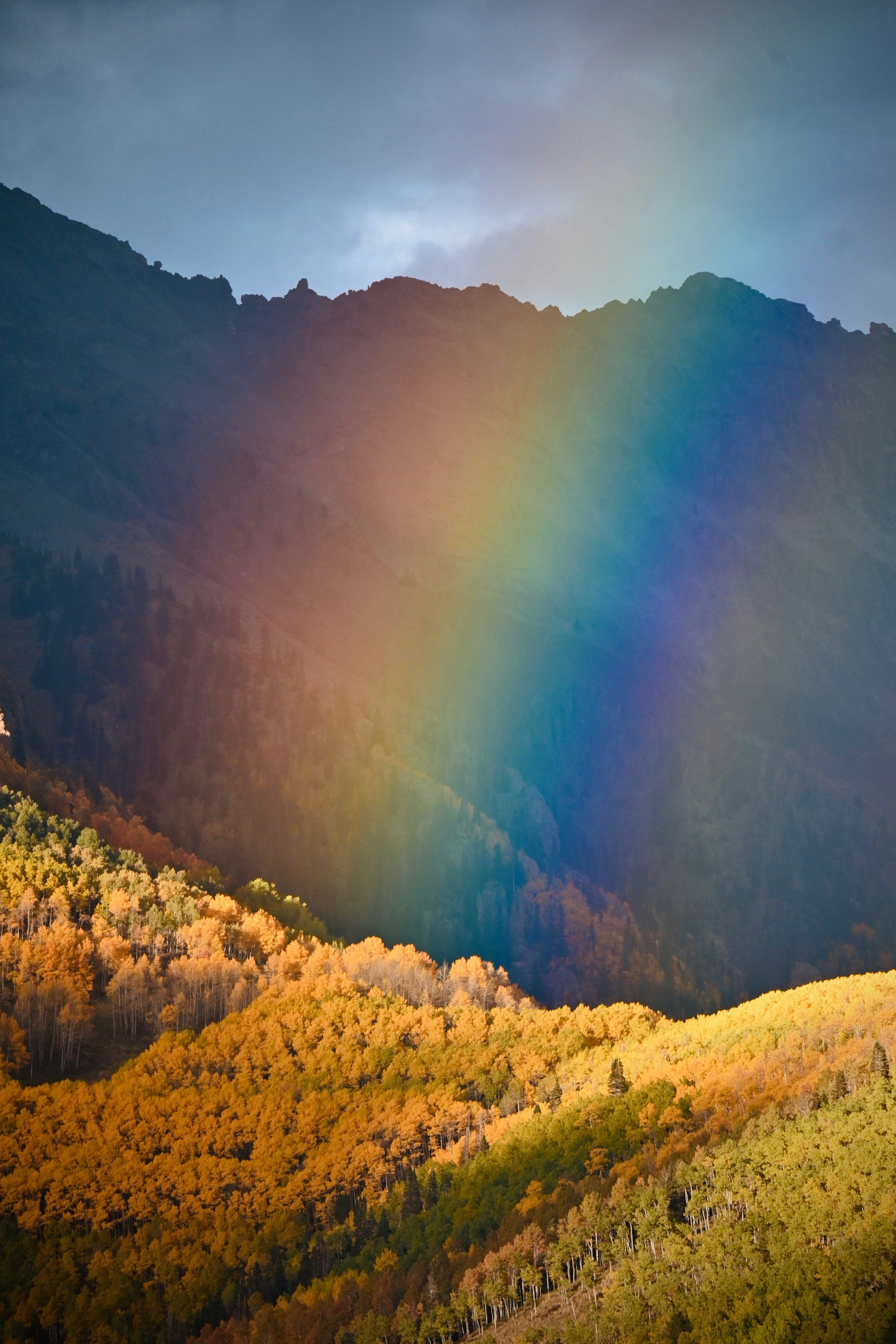 Spectrum of Serenity: Nature's Arc