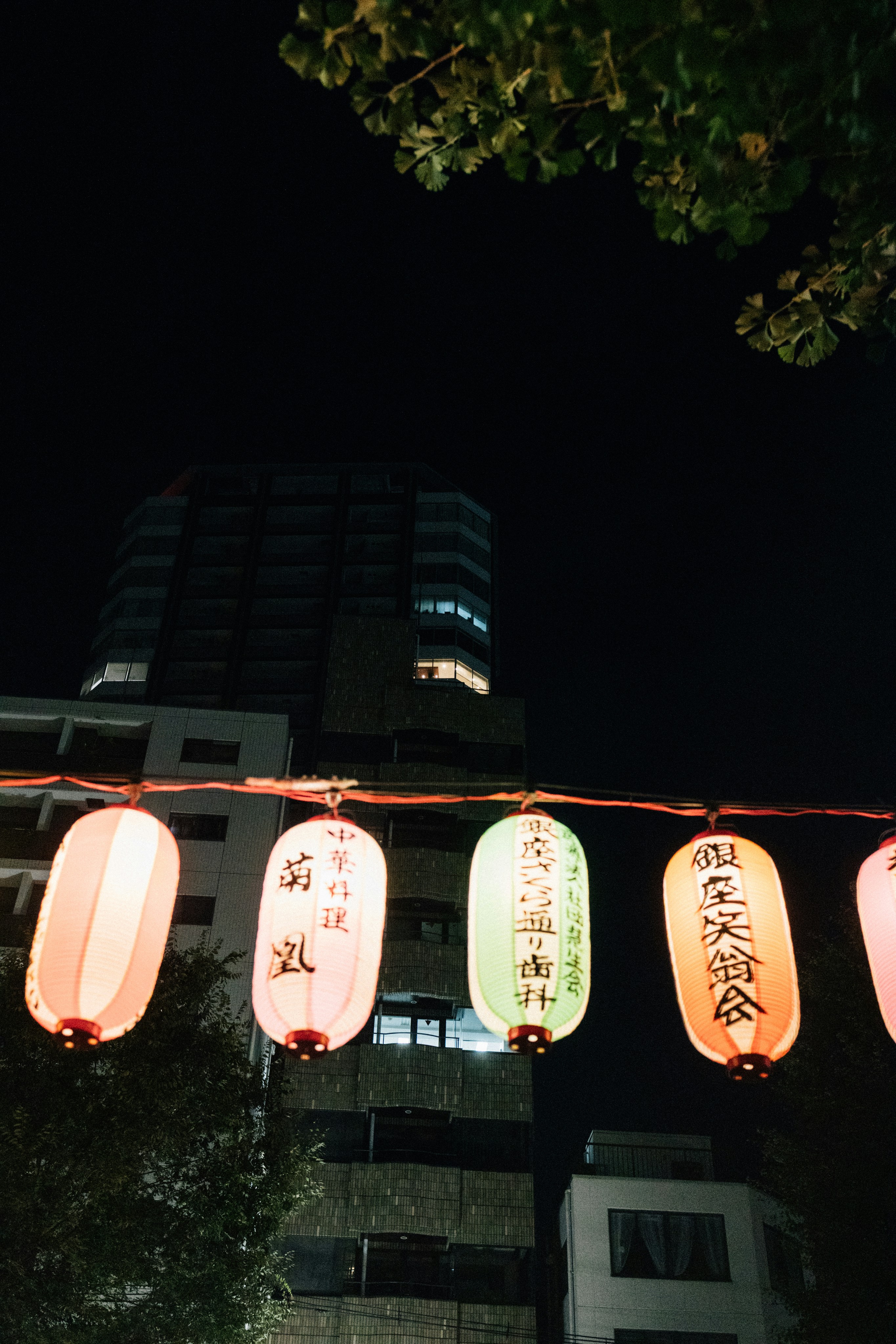 Japanese lanterns illuminated at night with city buildings. photo ...
