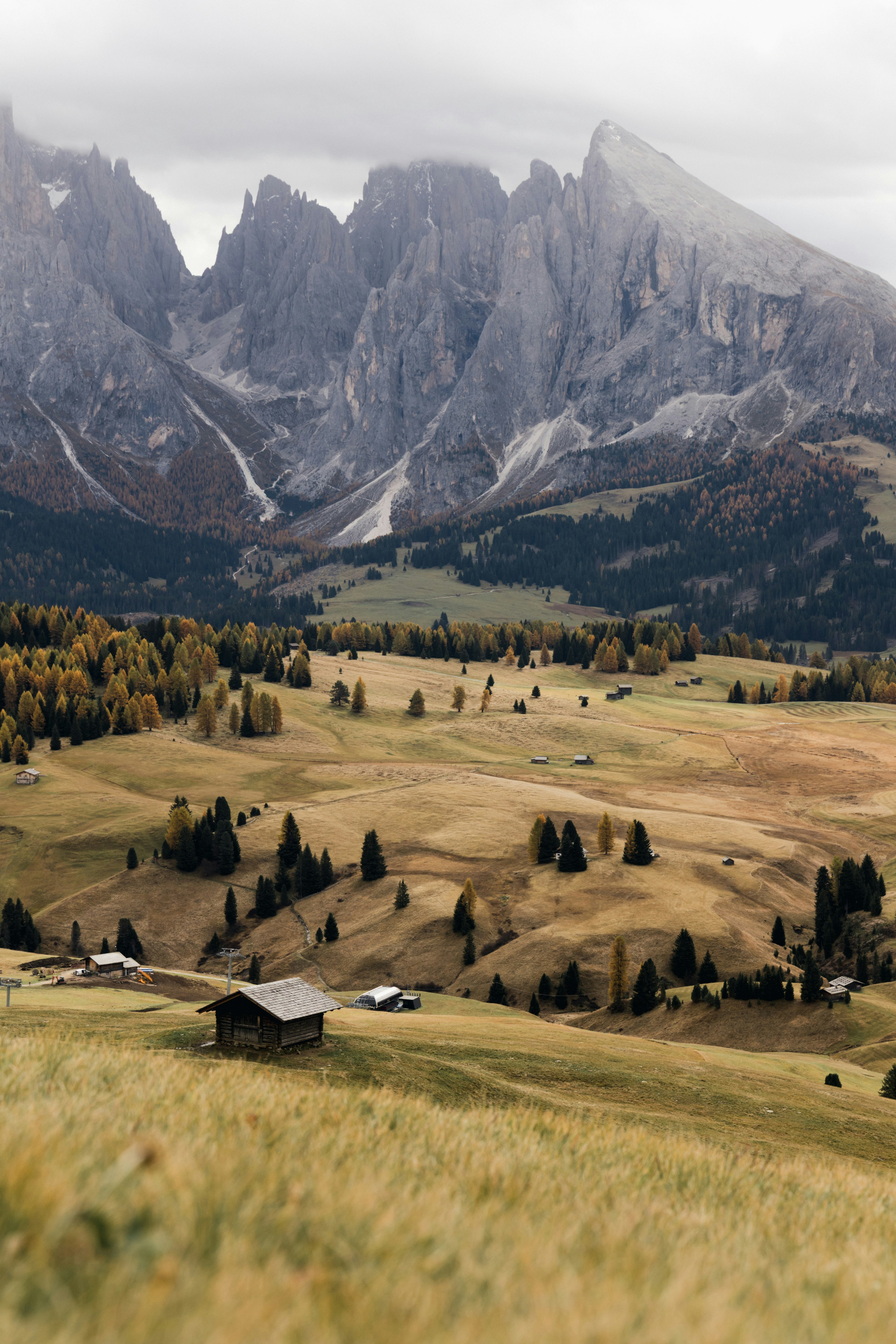 Rolling hills with scattered trees and distant mountains.