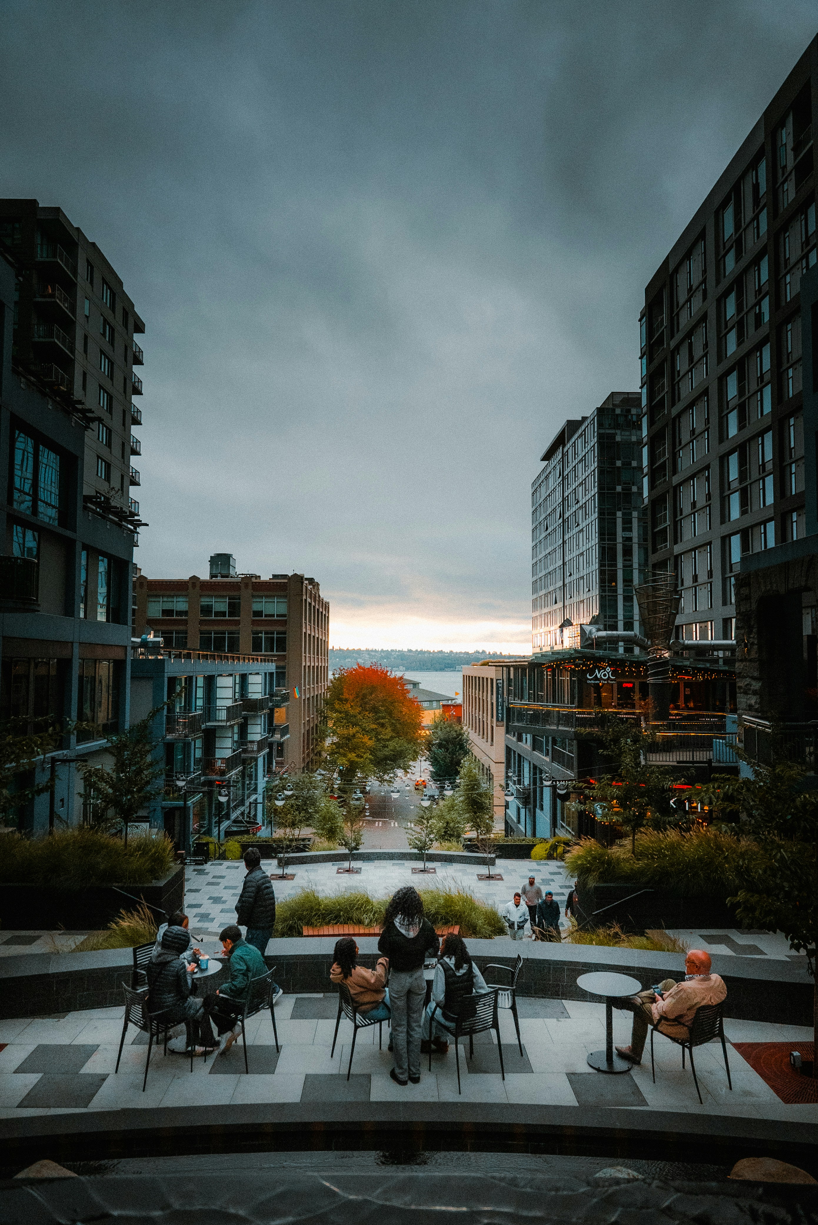 Urban Serenity Amidst Architectural Giants