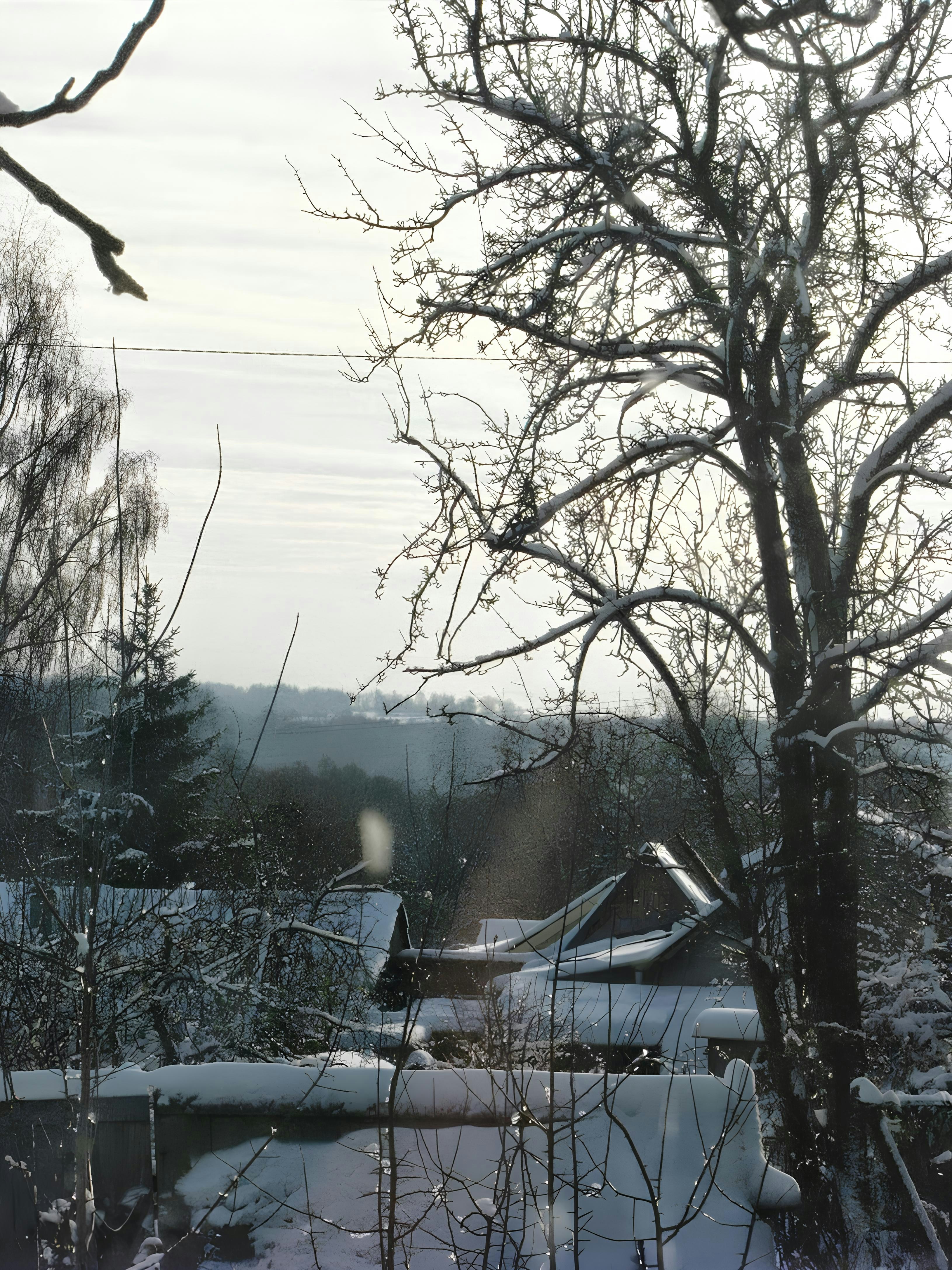 Whispers of Winter: A Snow-Covered Retreat