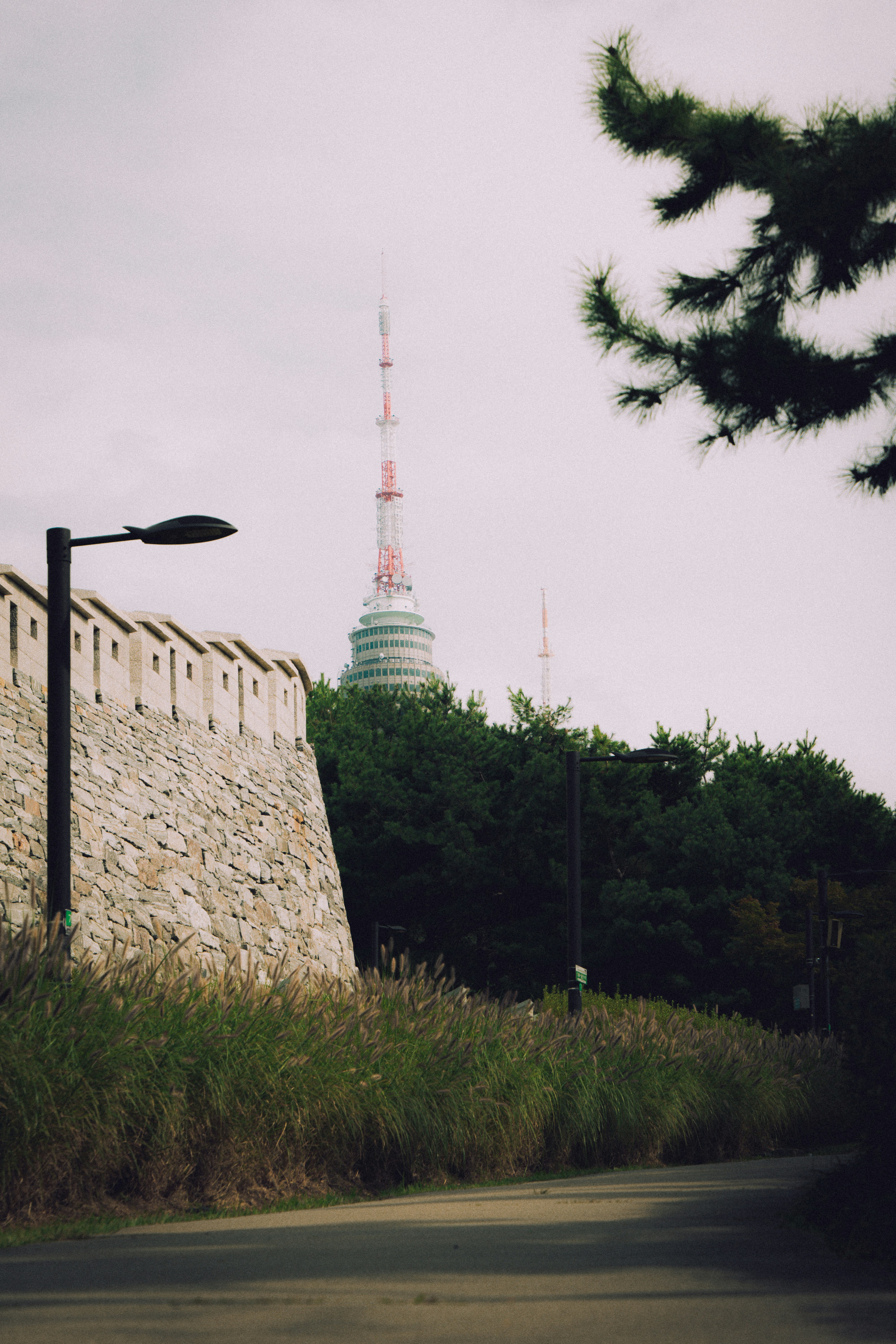 Photo by Brother Yoon with Panasonic Lumix S5