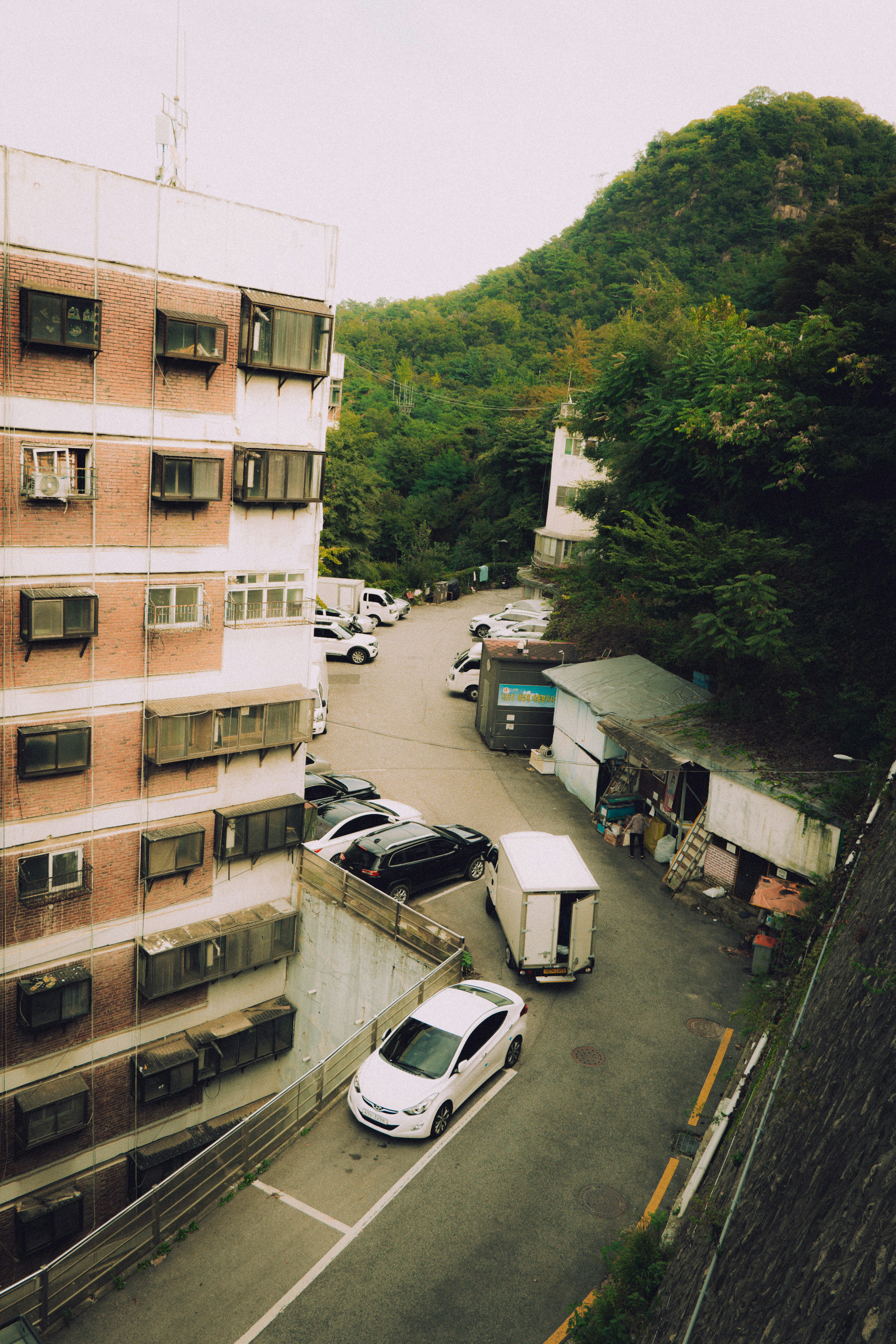 Urban Hideaway: A Glimpse into City Life