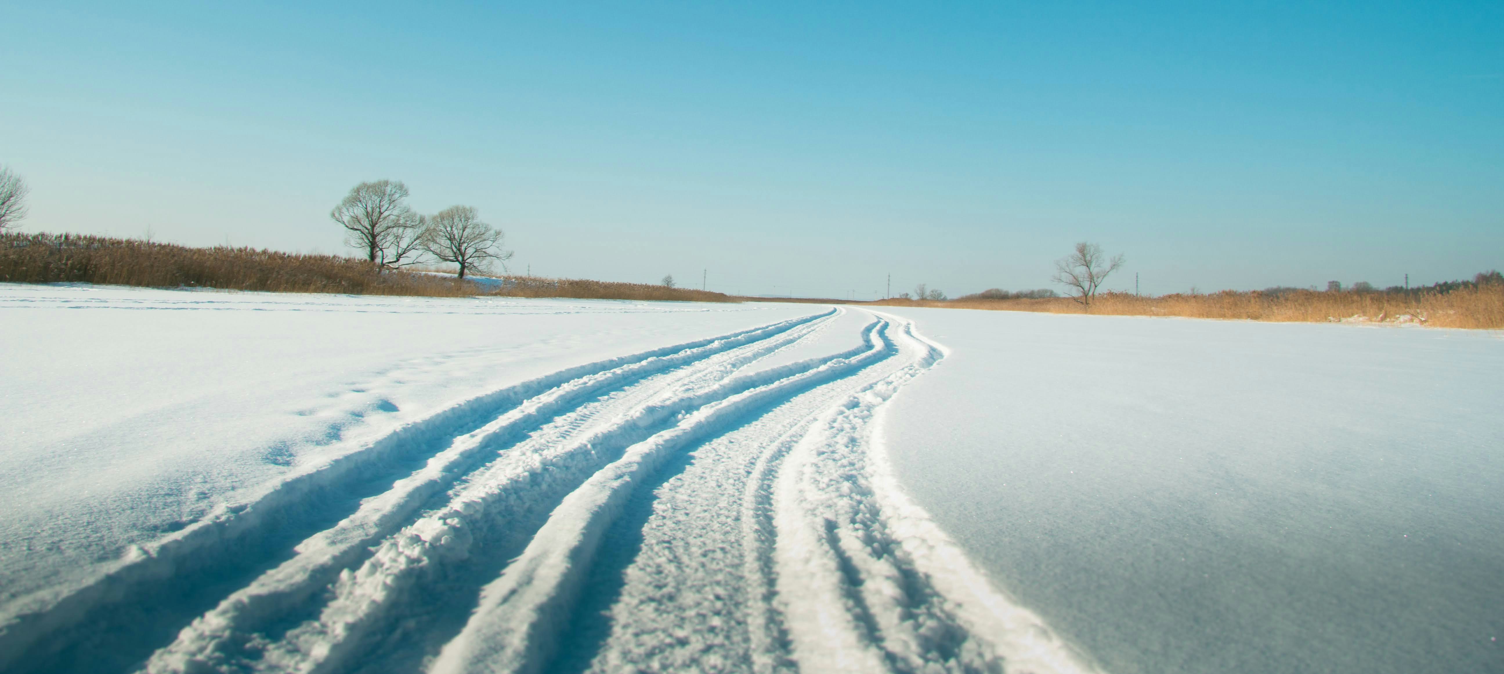 Whispers of Winter's Path