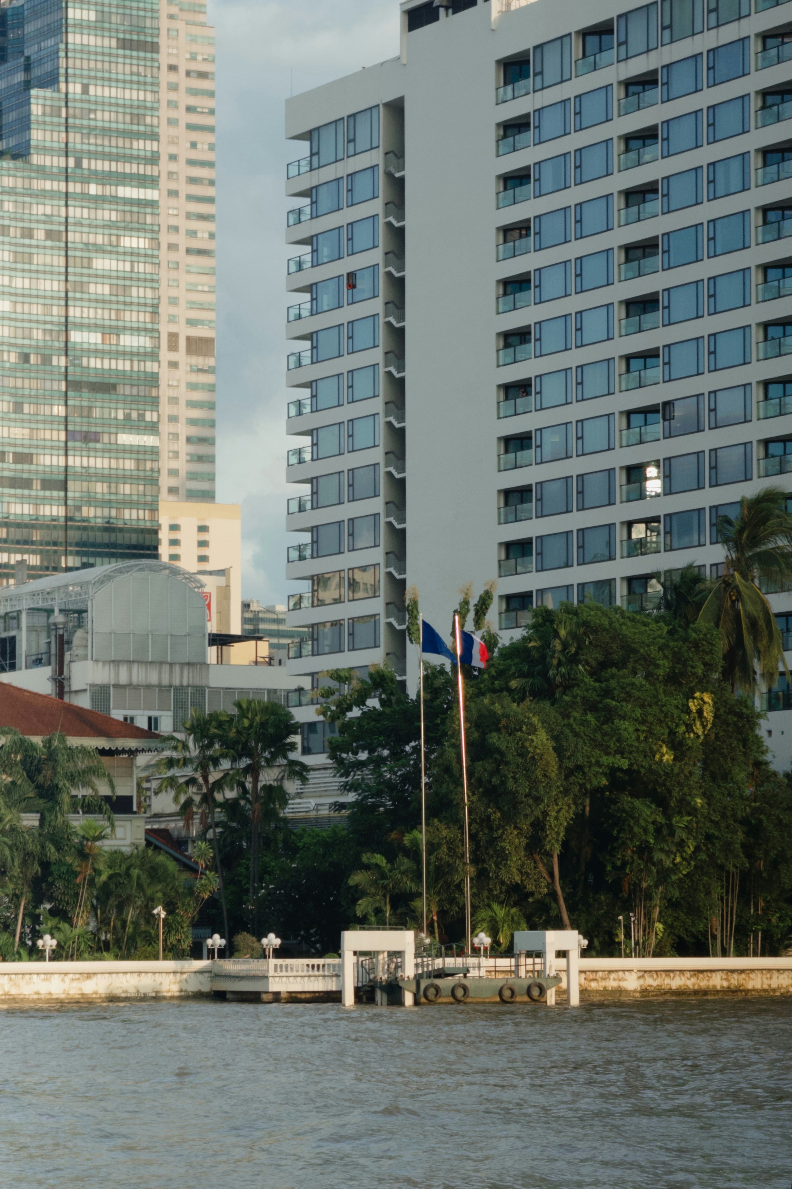 Urban Harmony: Nature Meets Architecture