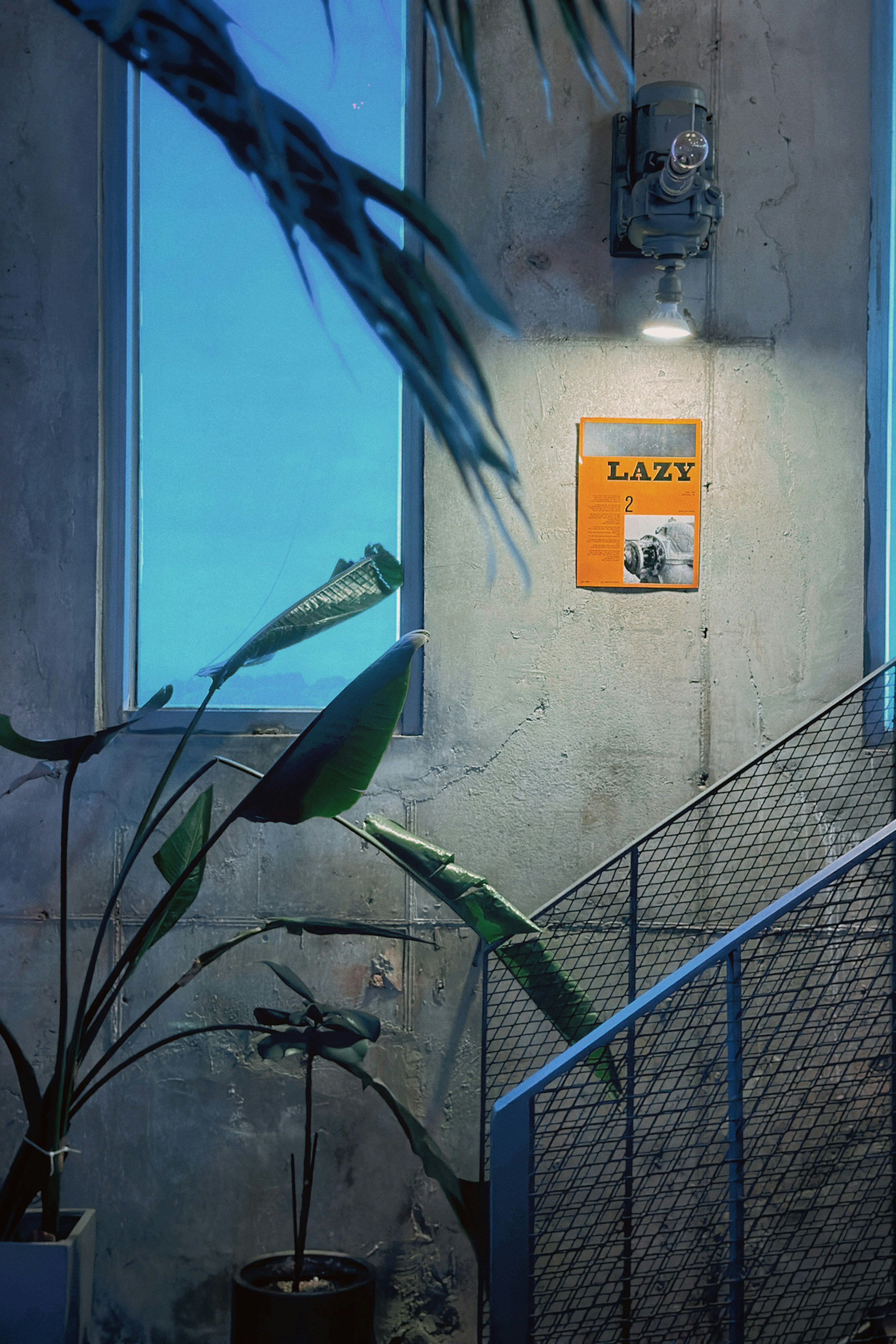 Shot with FIMO 5203 50D. | Stairwell with plants and orange "lazy" sign.