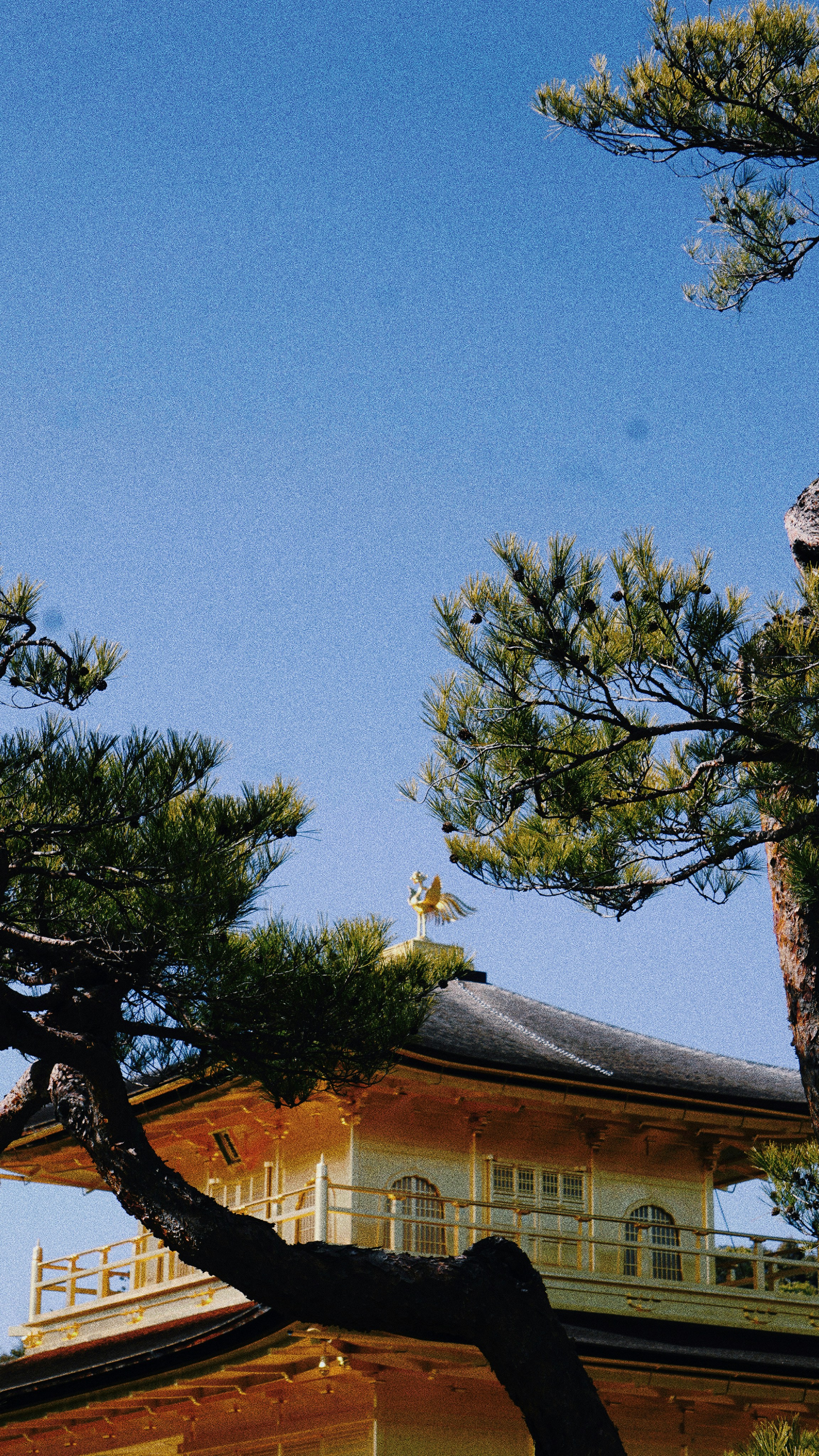 Golden Serenity: A Temple Amidst Nature's Embrace