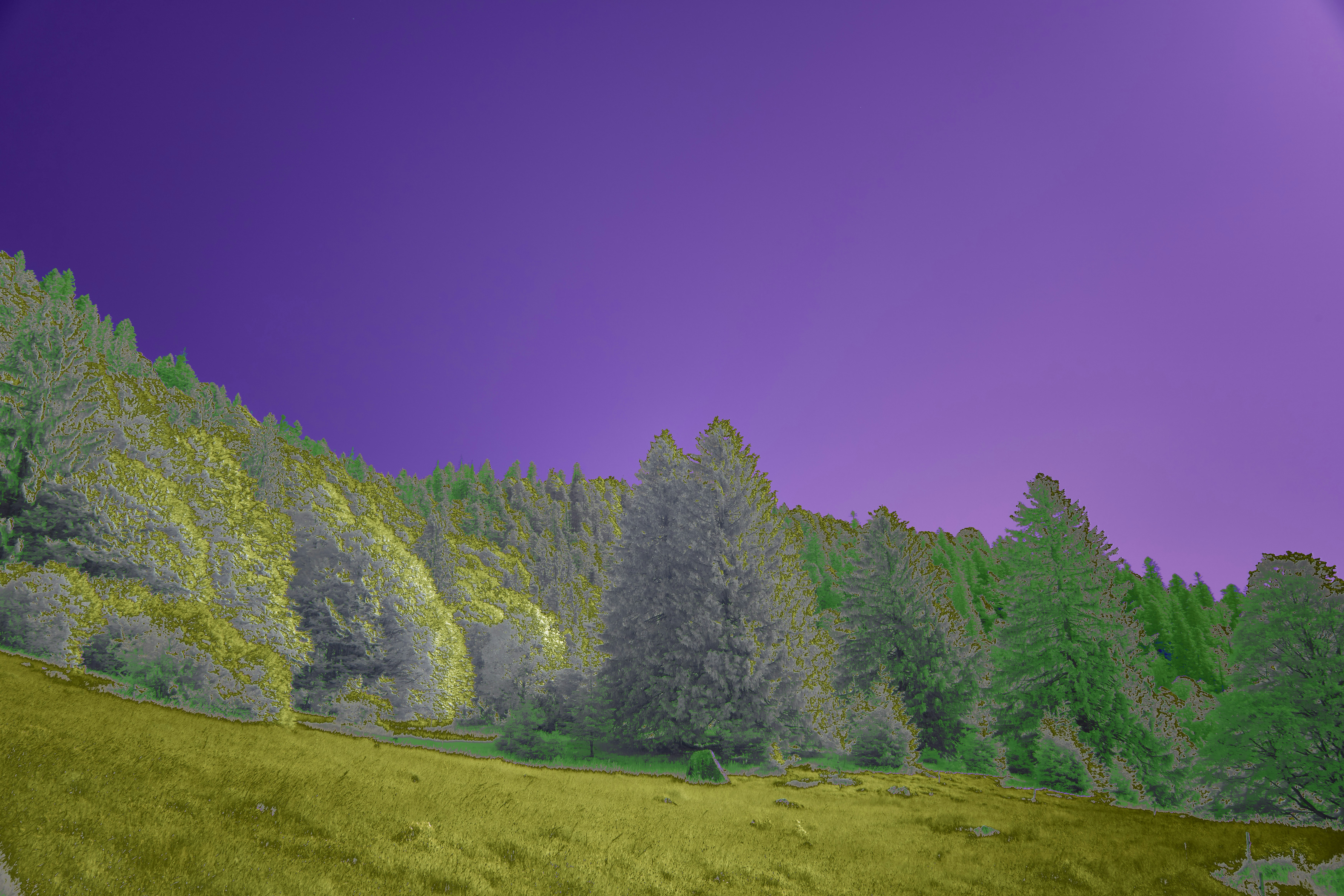 A vibrant forest landscape under a purple sky.