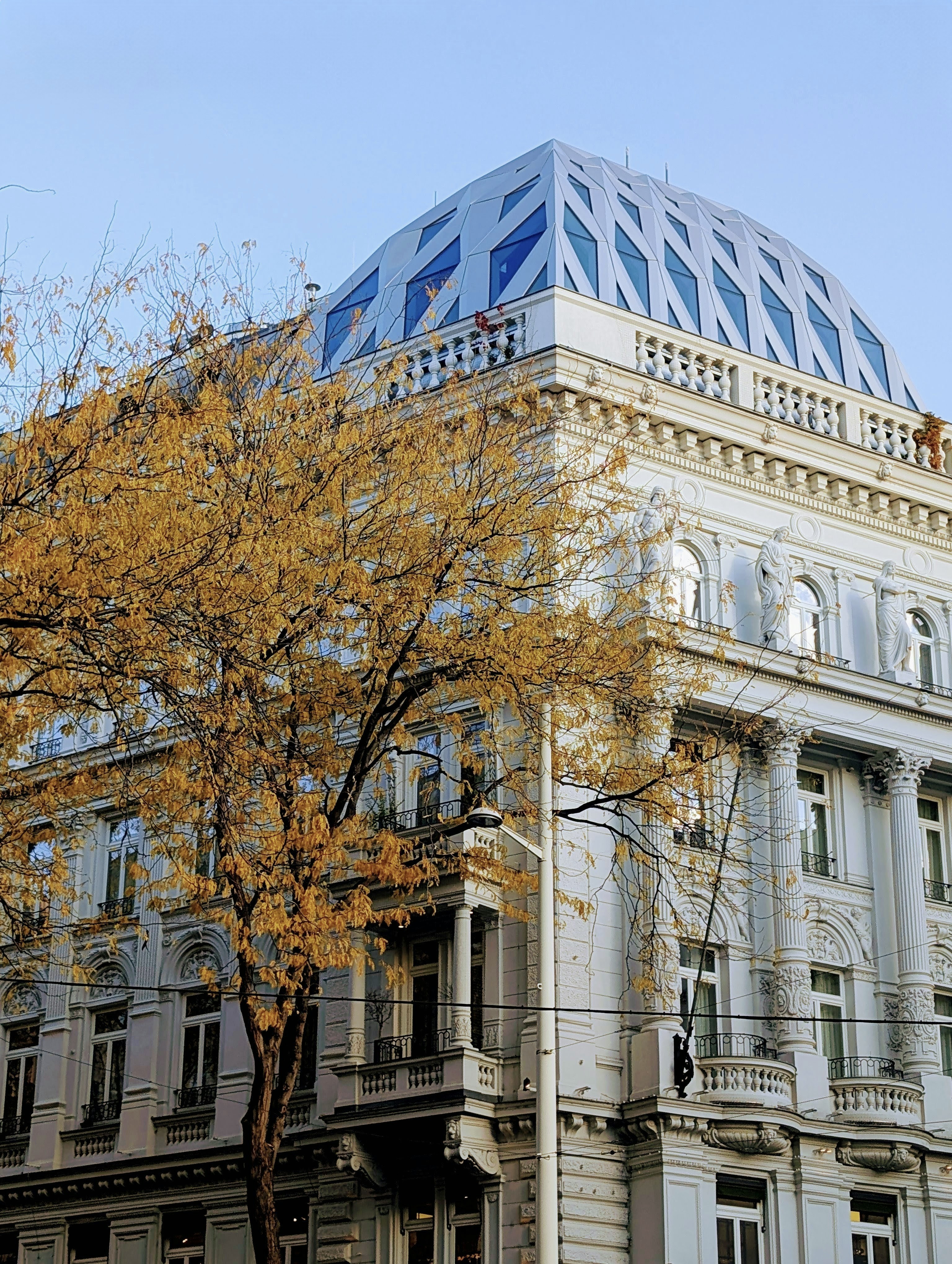 Ornate building with a modern glass roof and tree.