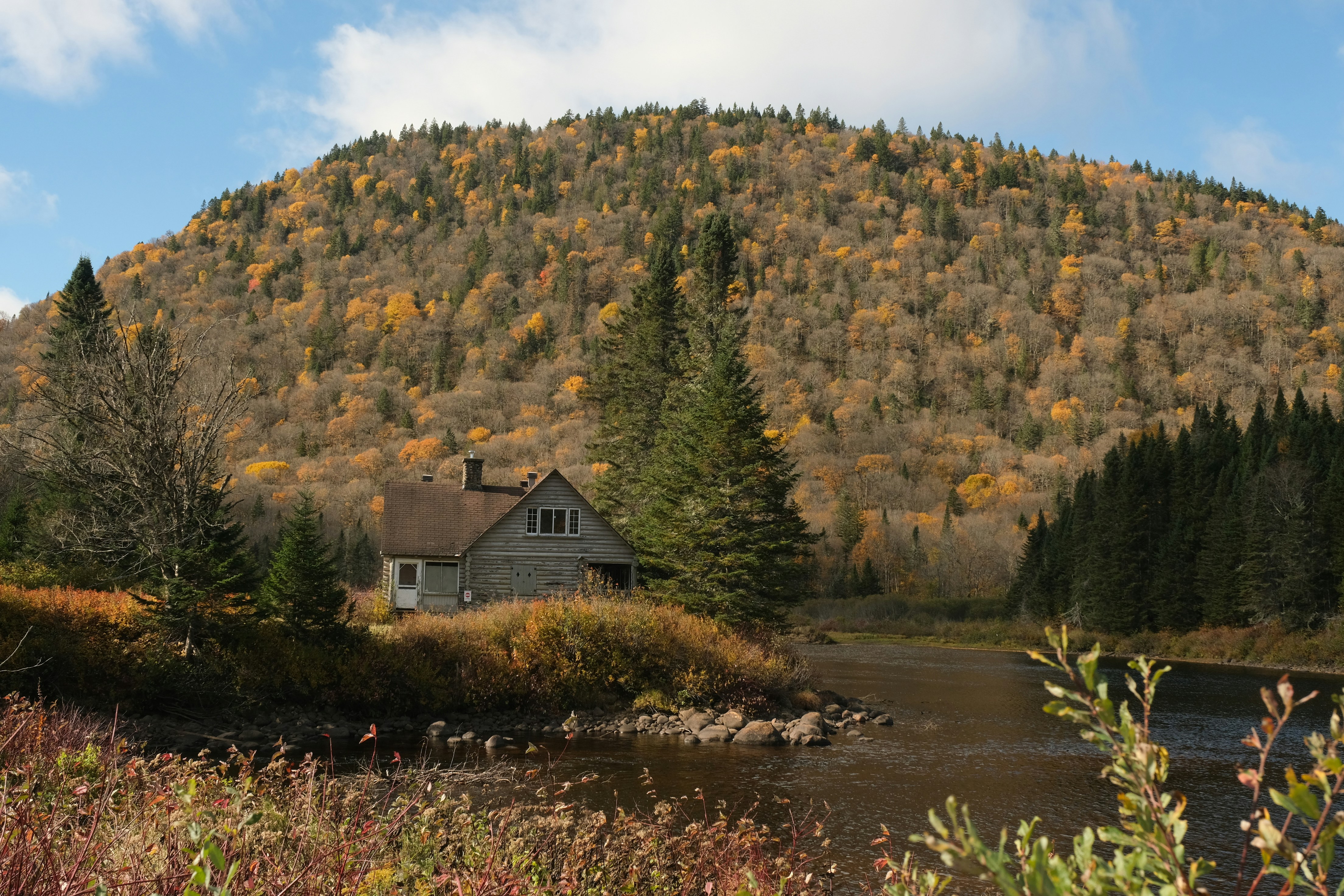 Whispers of Autumn: A Cabin's Embrace