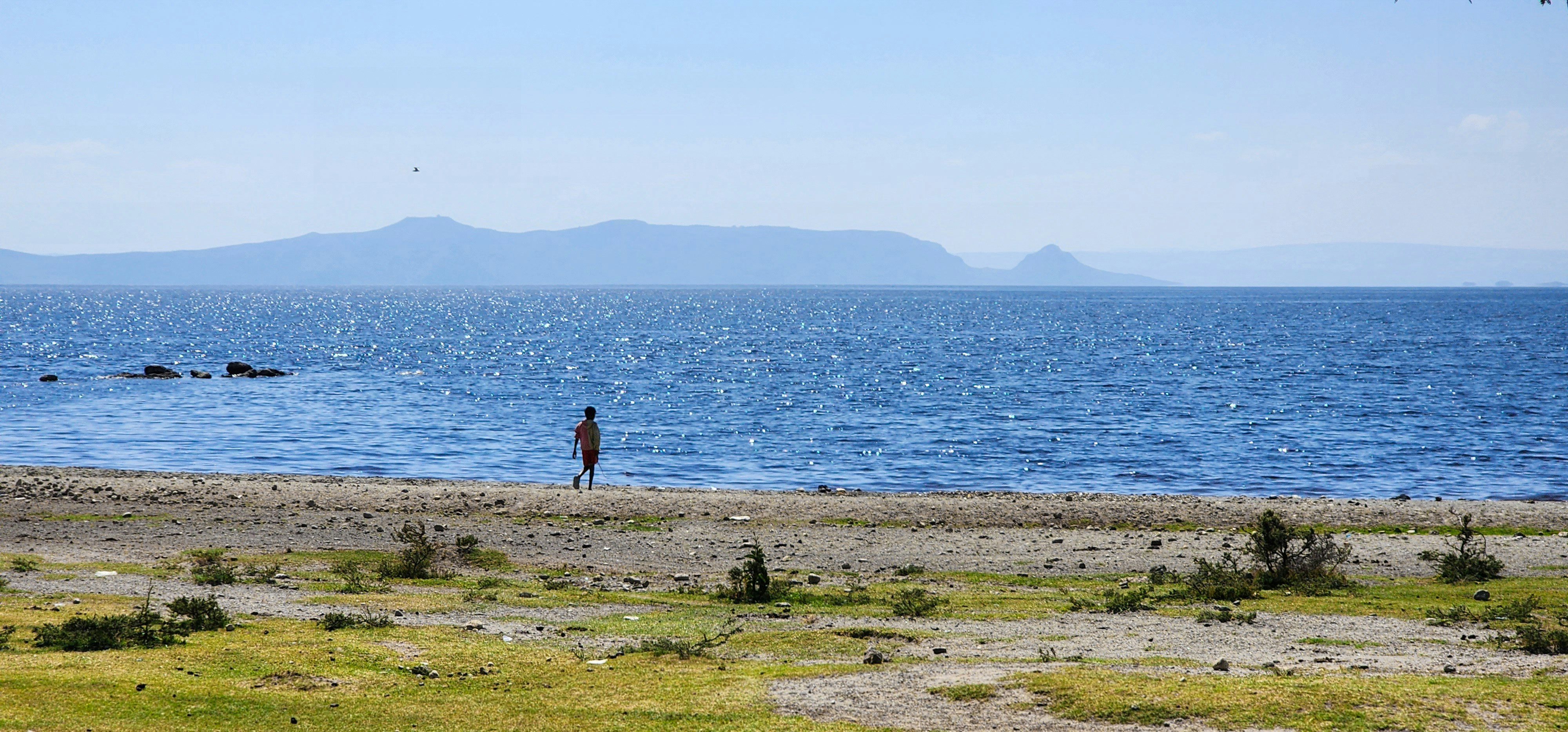 A lone figure stands on a beach by the ocean.