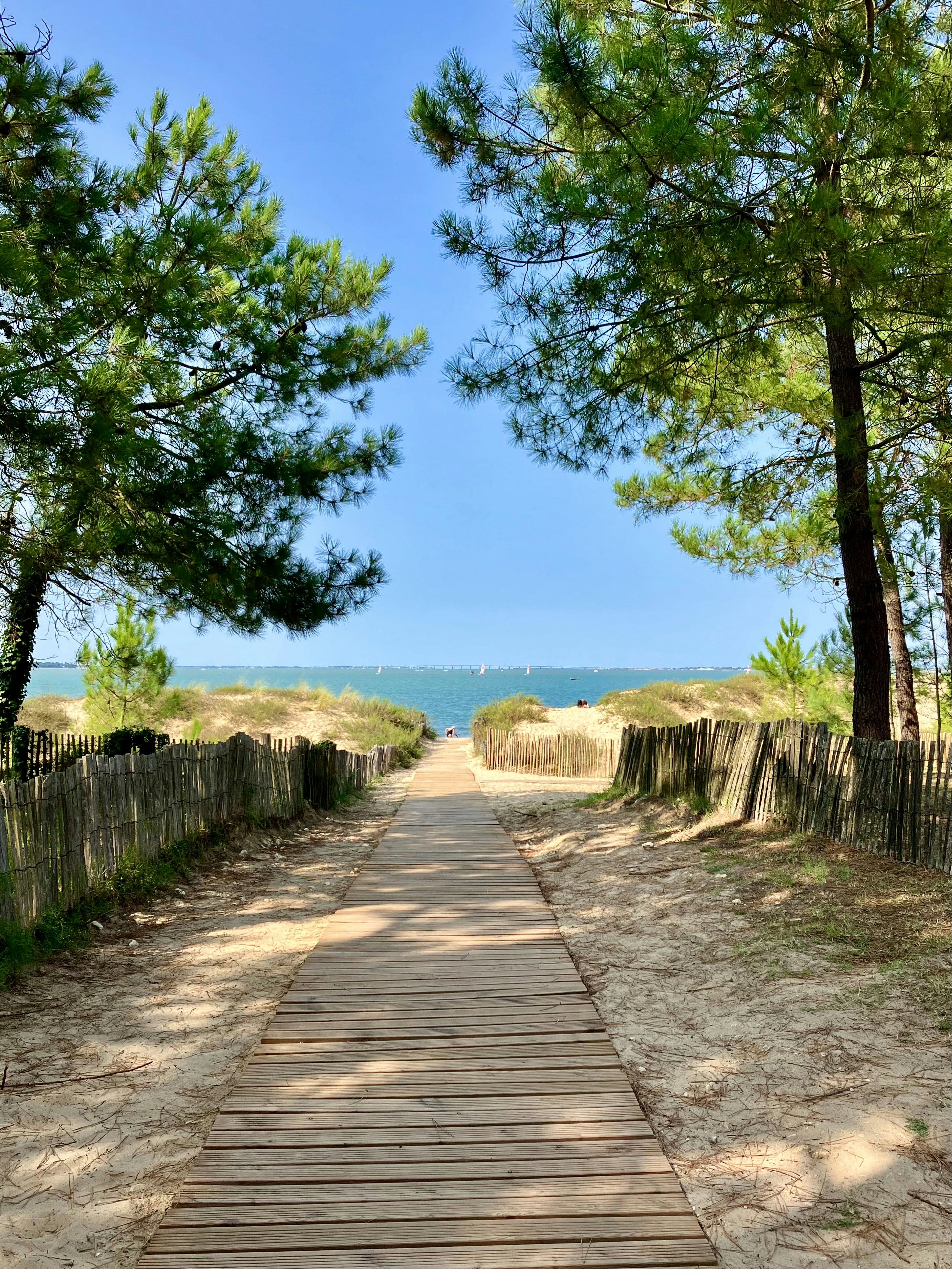 Pathway to Serenity: A Coastal Journey