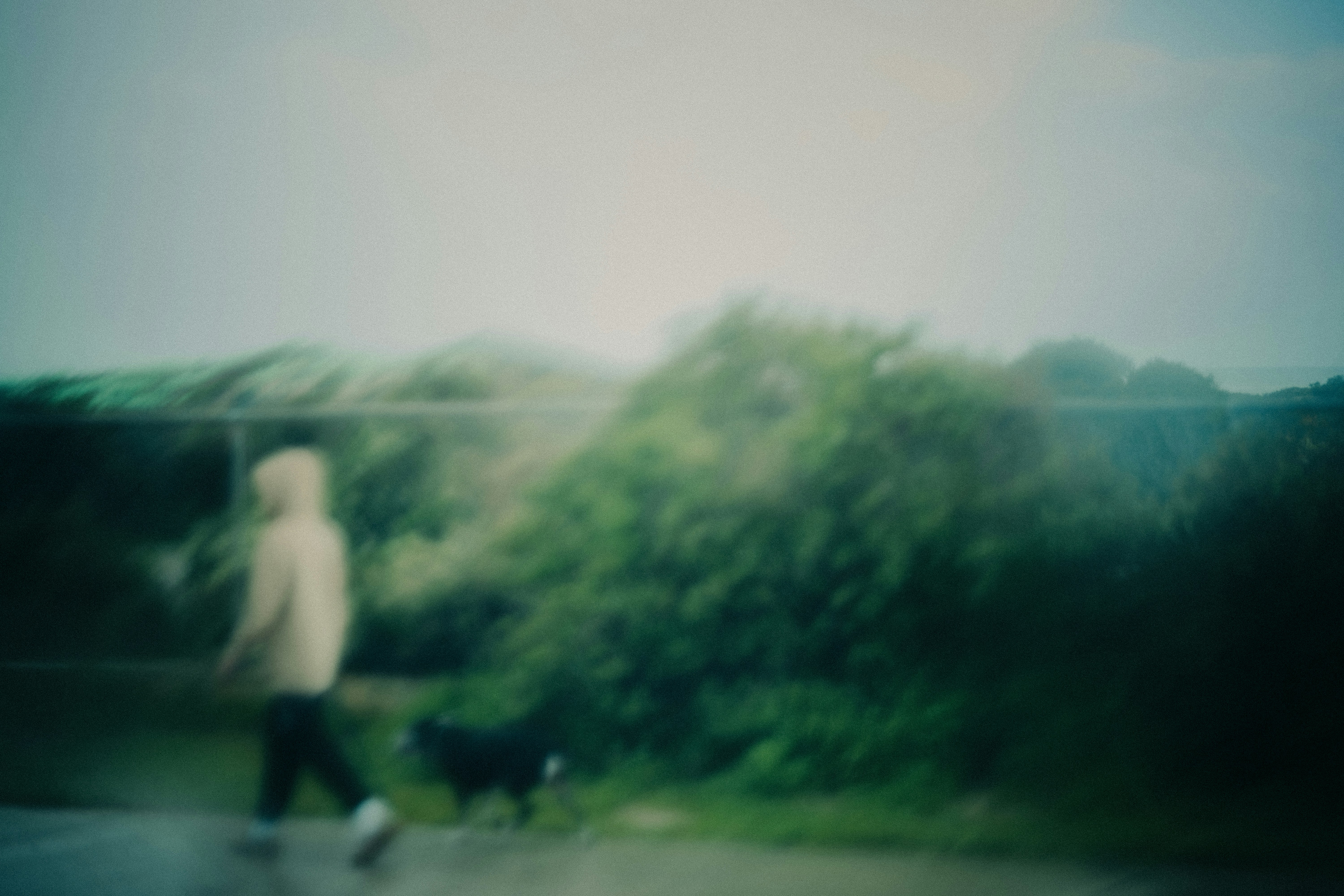 Whispers of a Rainy Stroll