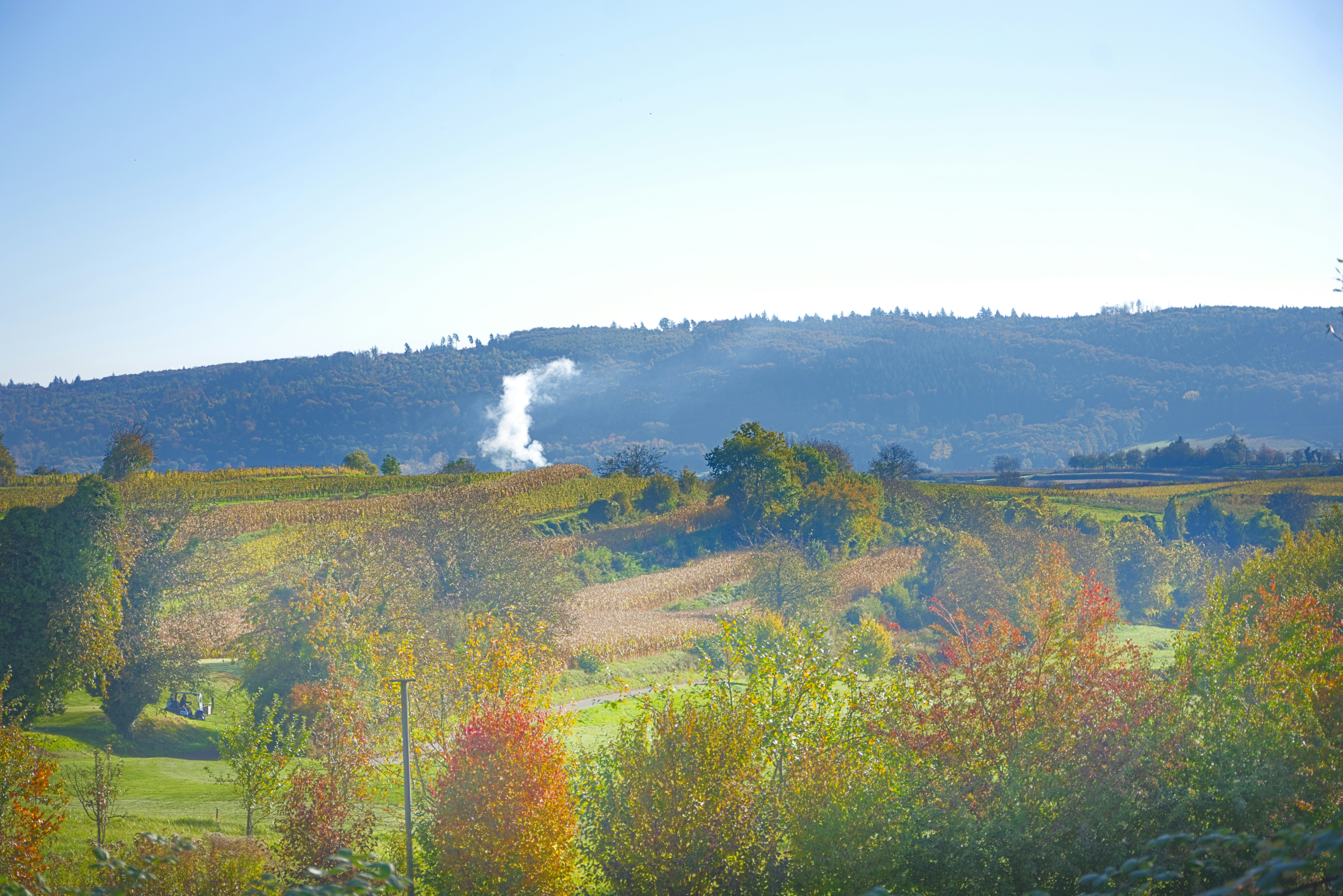 Ridge Silhouette: Steam Drift Above Vineyards