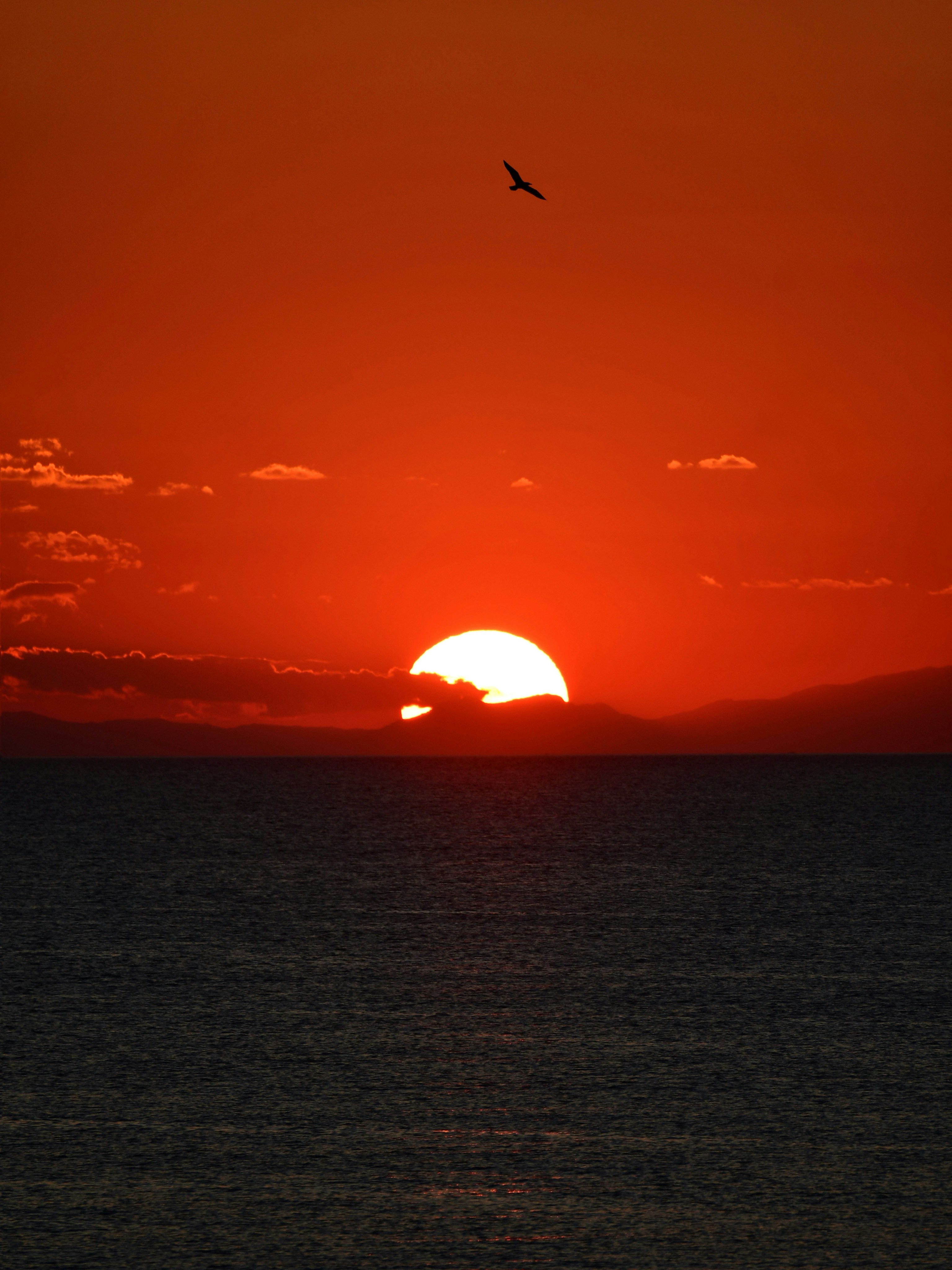 Ember Horizon: A Dance of Light and Sea