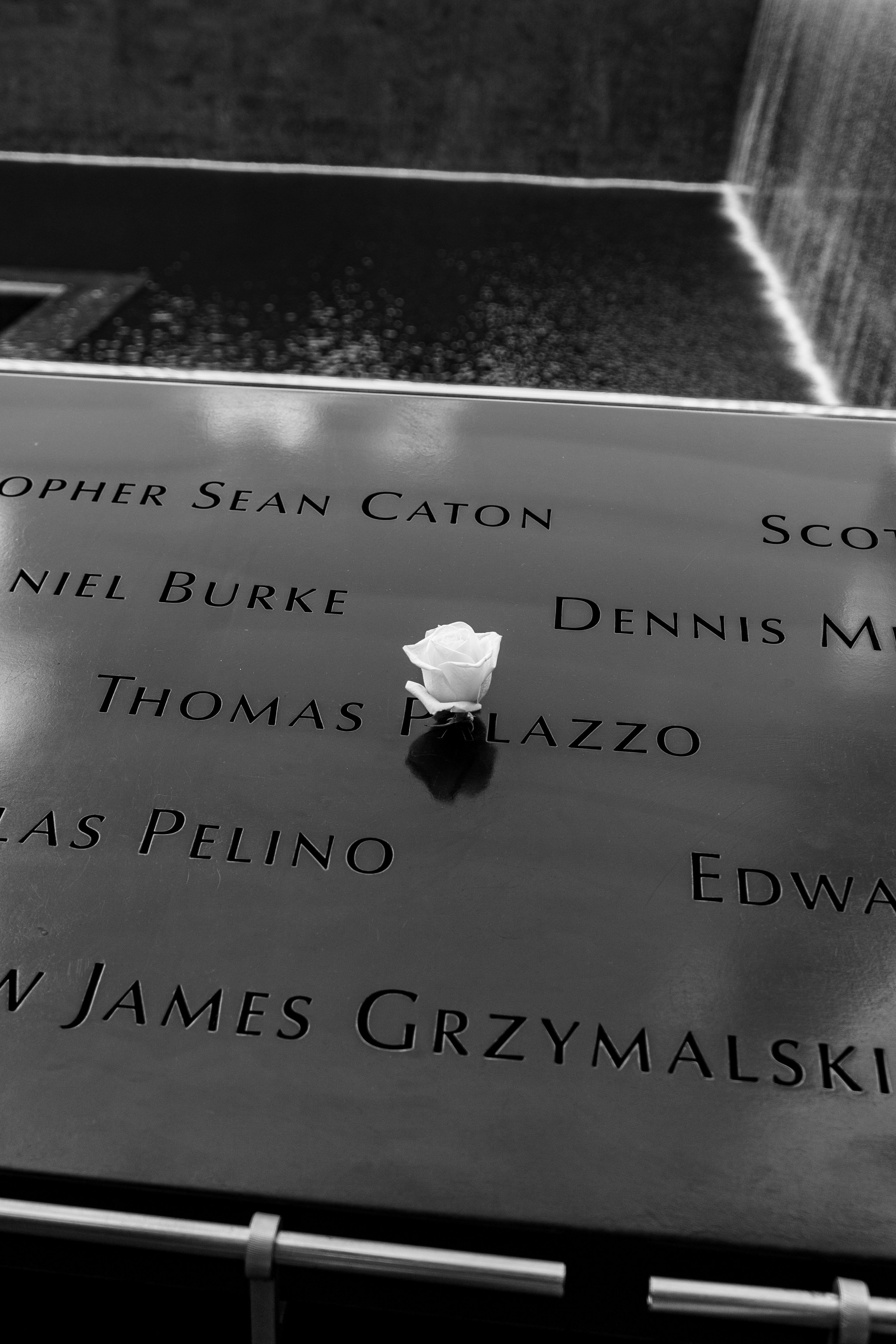 Photo by Maxim Klimashin with Sony Alpha 7 III