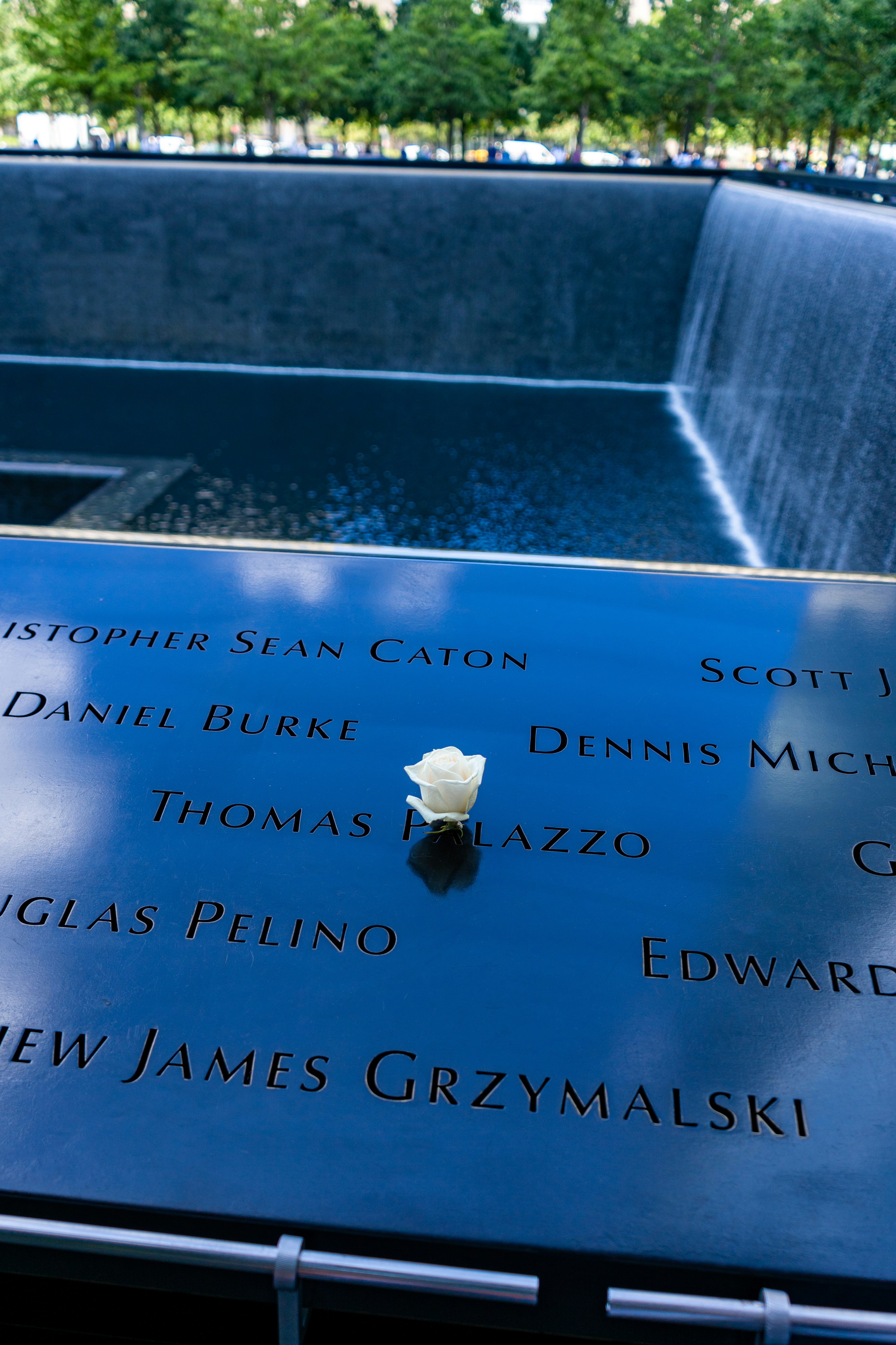 A white rose rests on names at the 9/11 memorial.