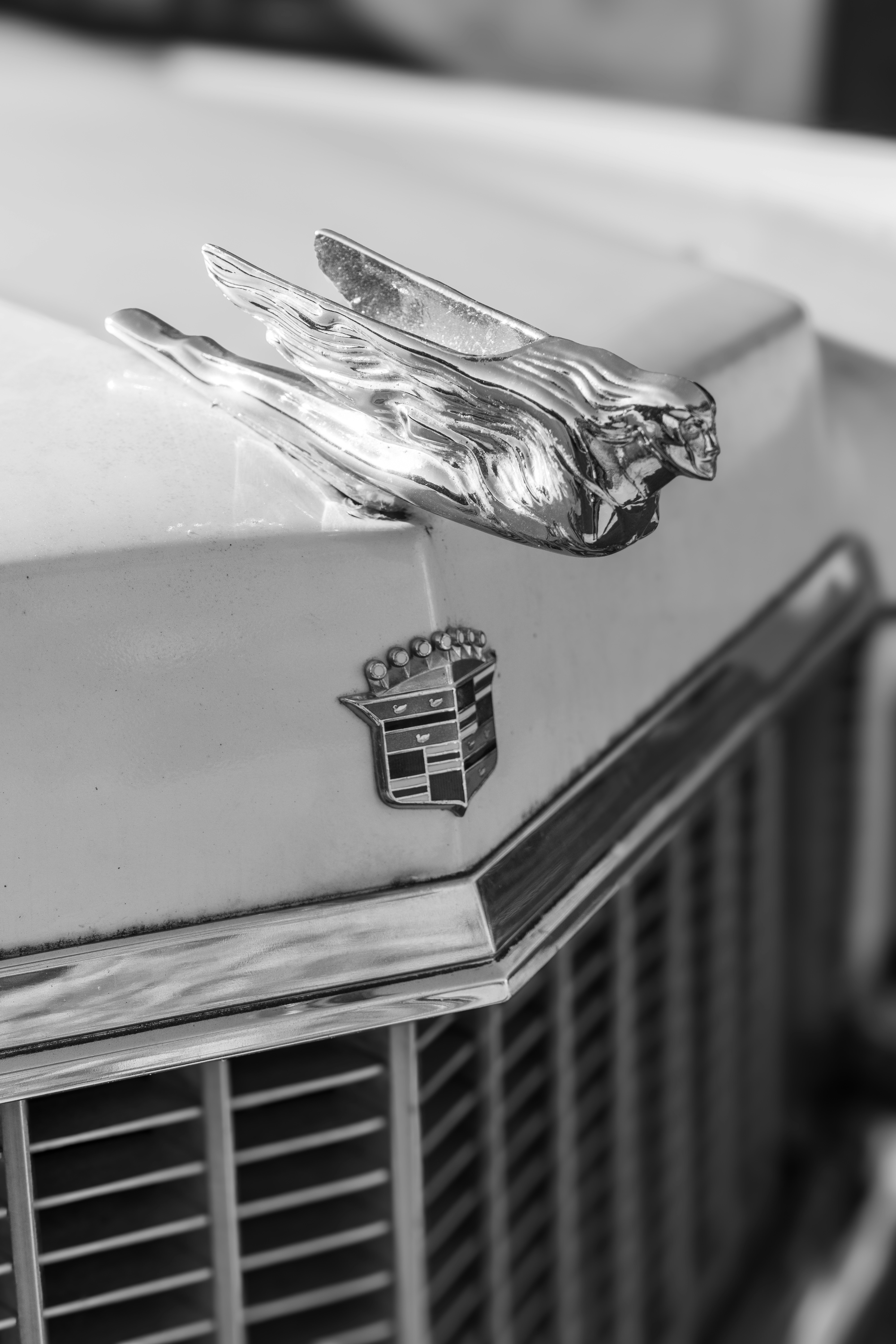 Elegance in Motion: A Classic Cadillac Emblem