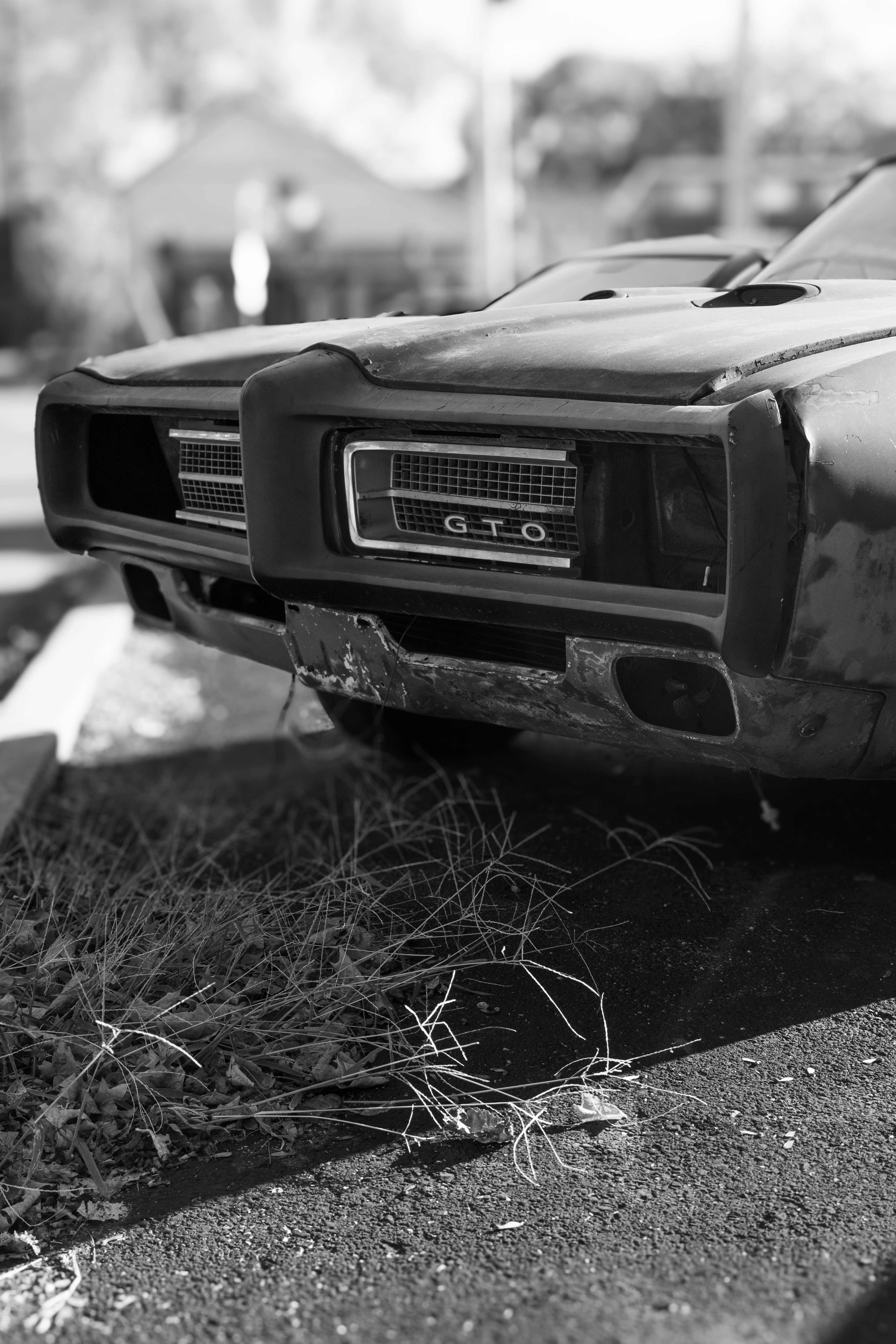 Rust and Resilience: The Untold Story of a Classic GTO