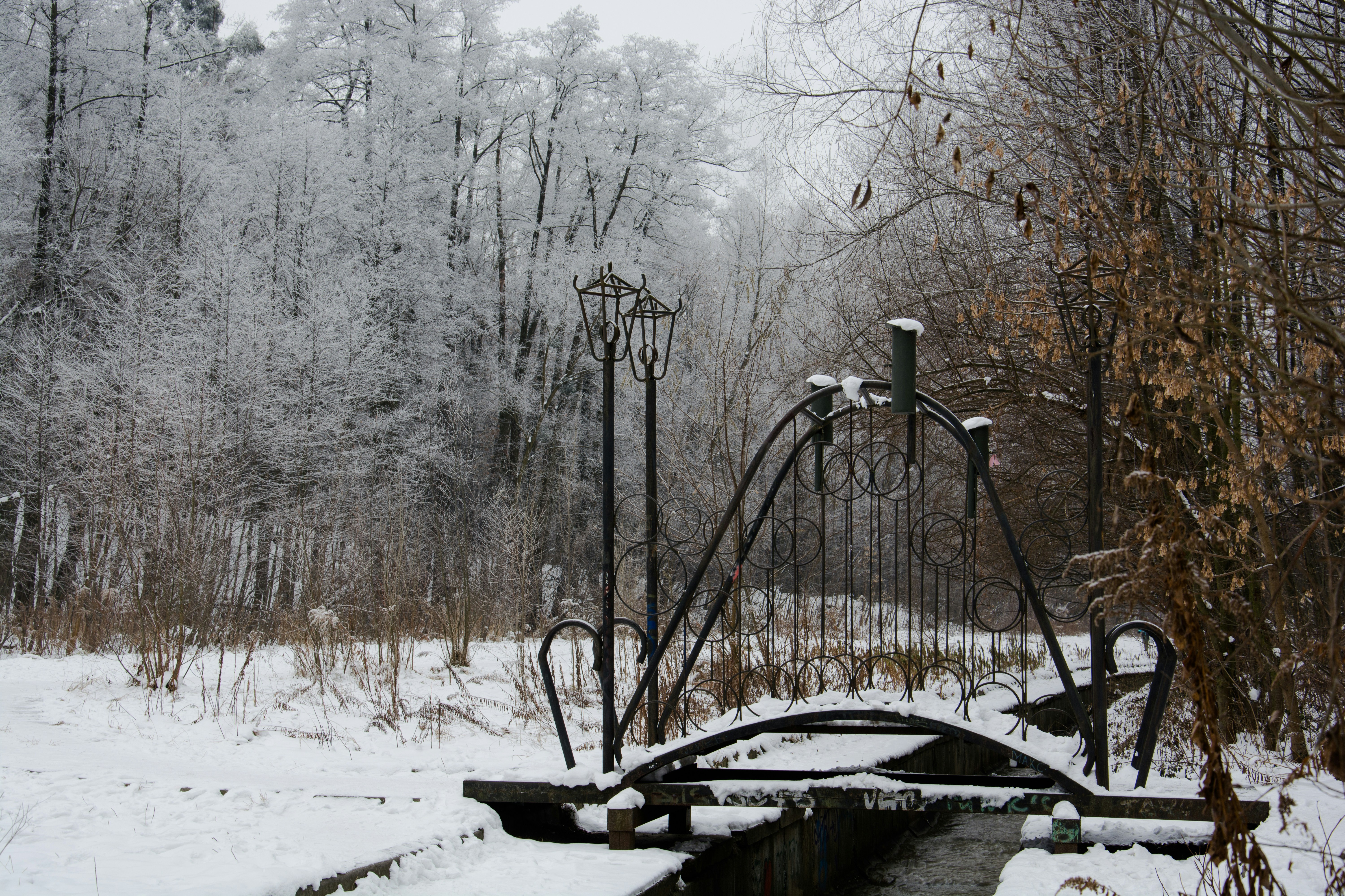 Snow-covered forest with a decorative metal bridge.