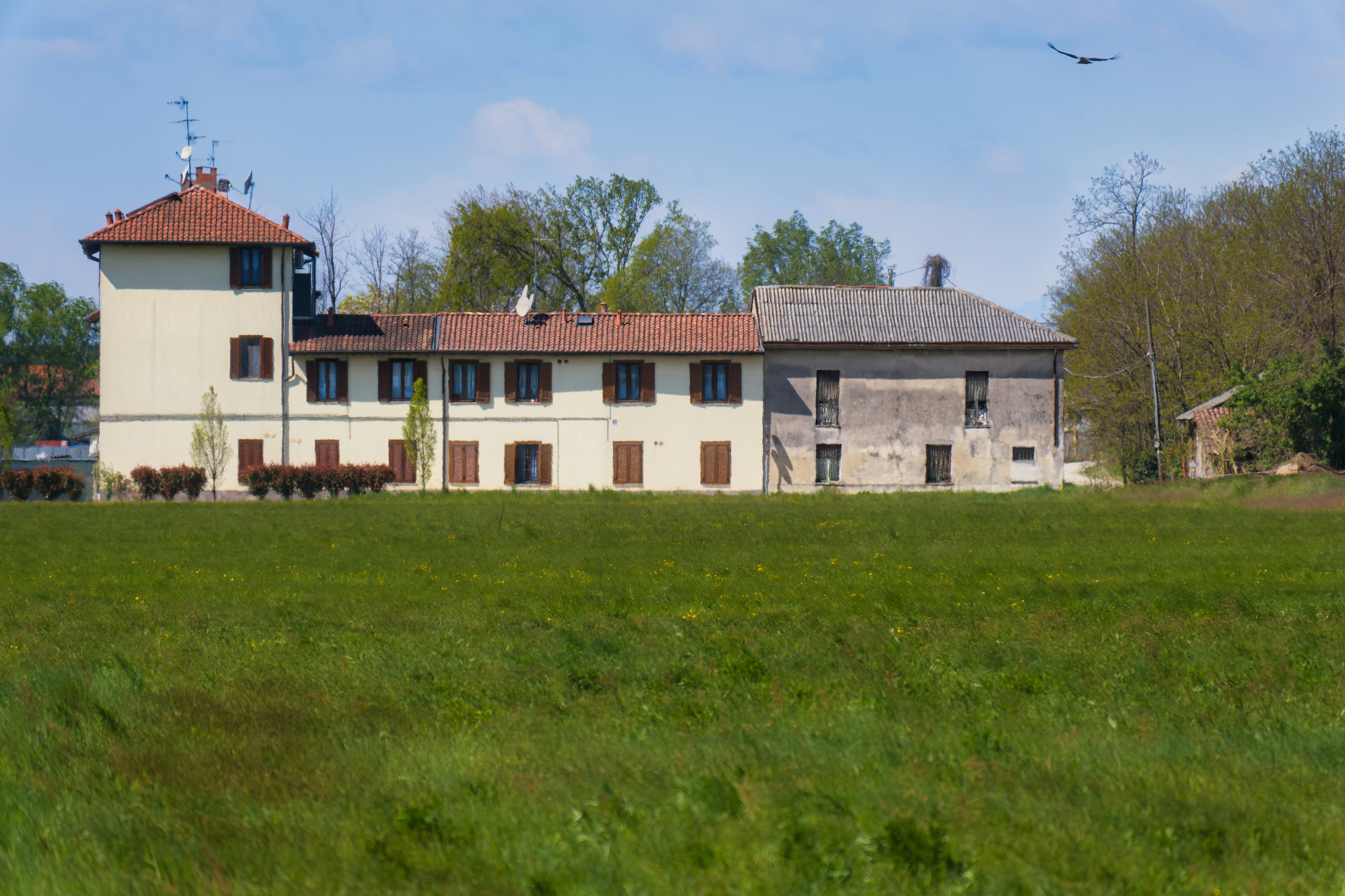 Whispers of Rustic Charm: A Countryside Retreat