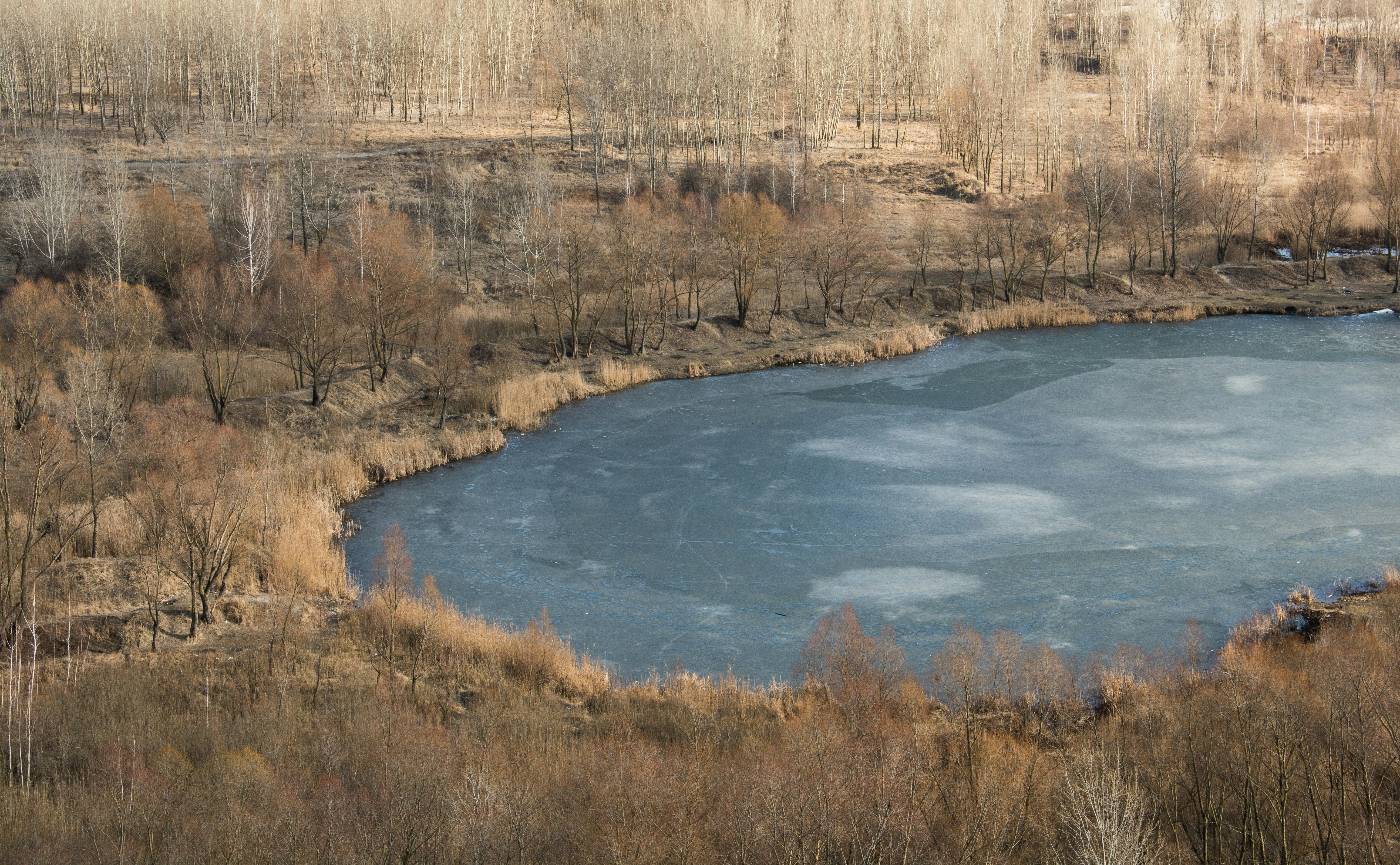 Frozen lake surrounded by sparse trees and dry grasses, reflecting the muted tones of early spring. The scene captures the transition from winter to warmer days.