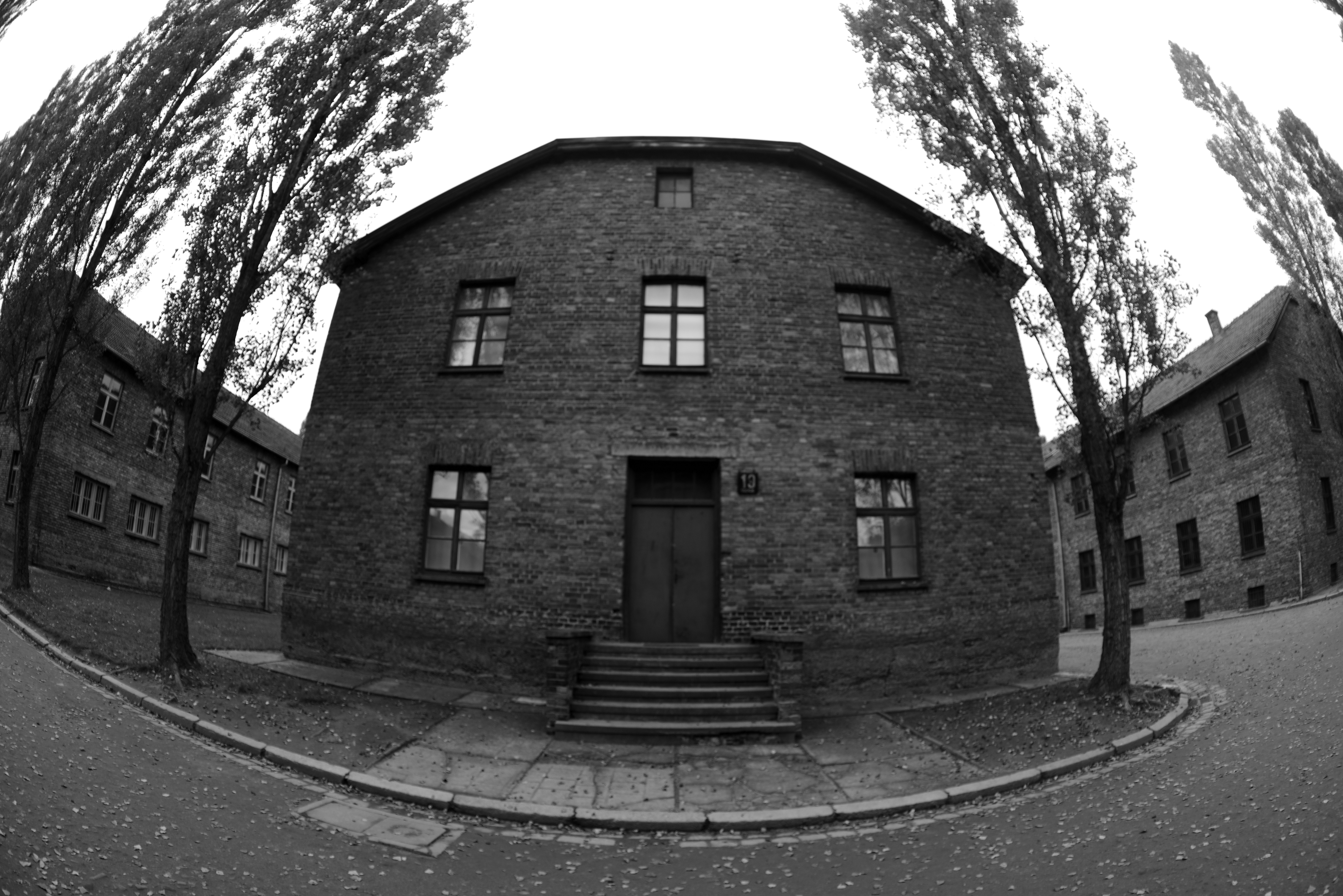 Auschwitz - Unfocused | Brick buildings with trees on a cloudy day