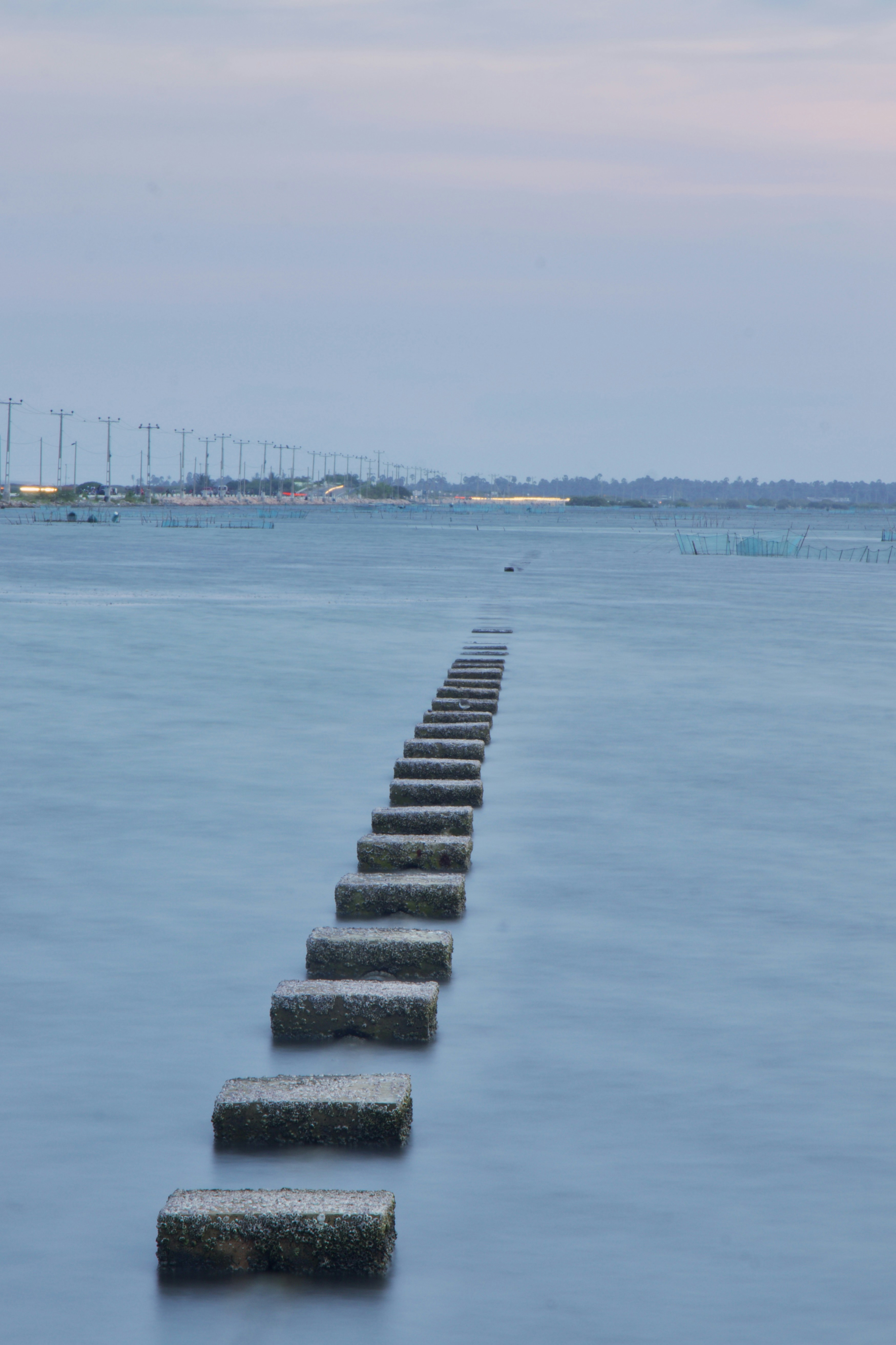 Pathway Through Tranquil Waters