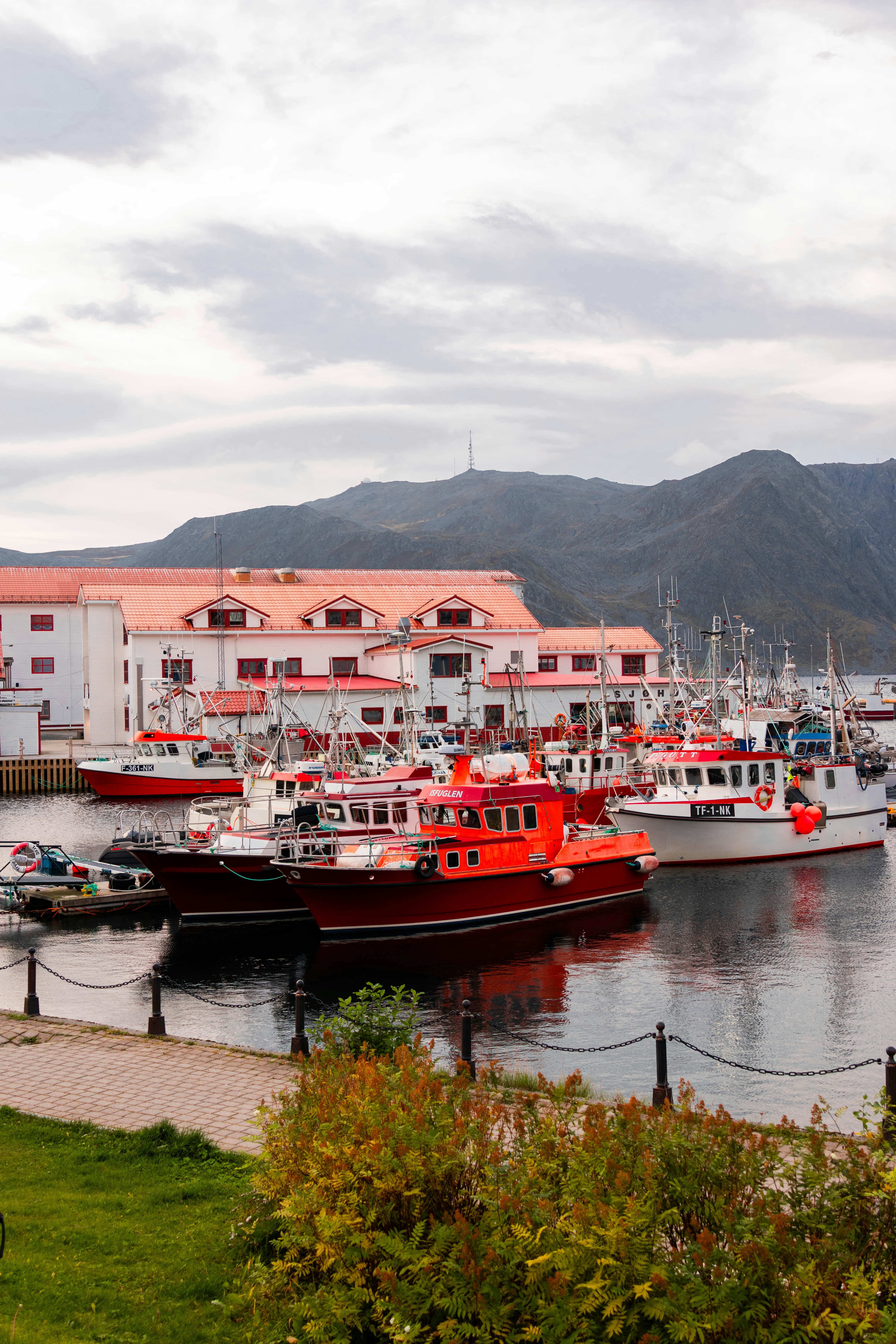 Harbor Harmony: A Dance of Vessels and Mountains