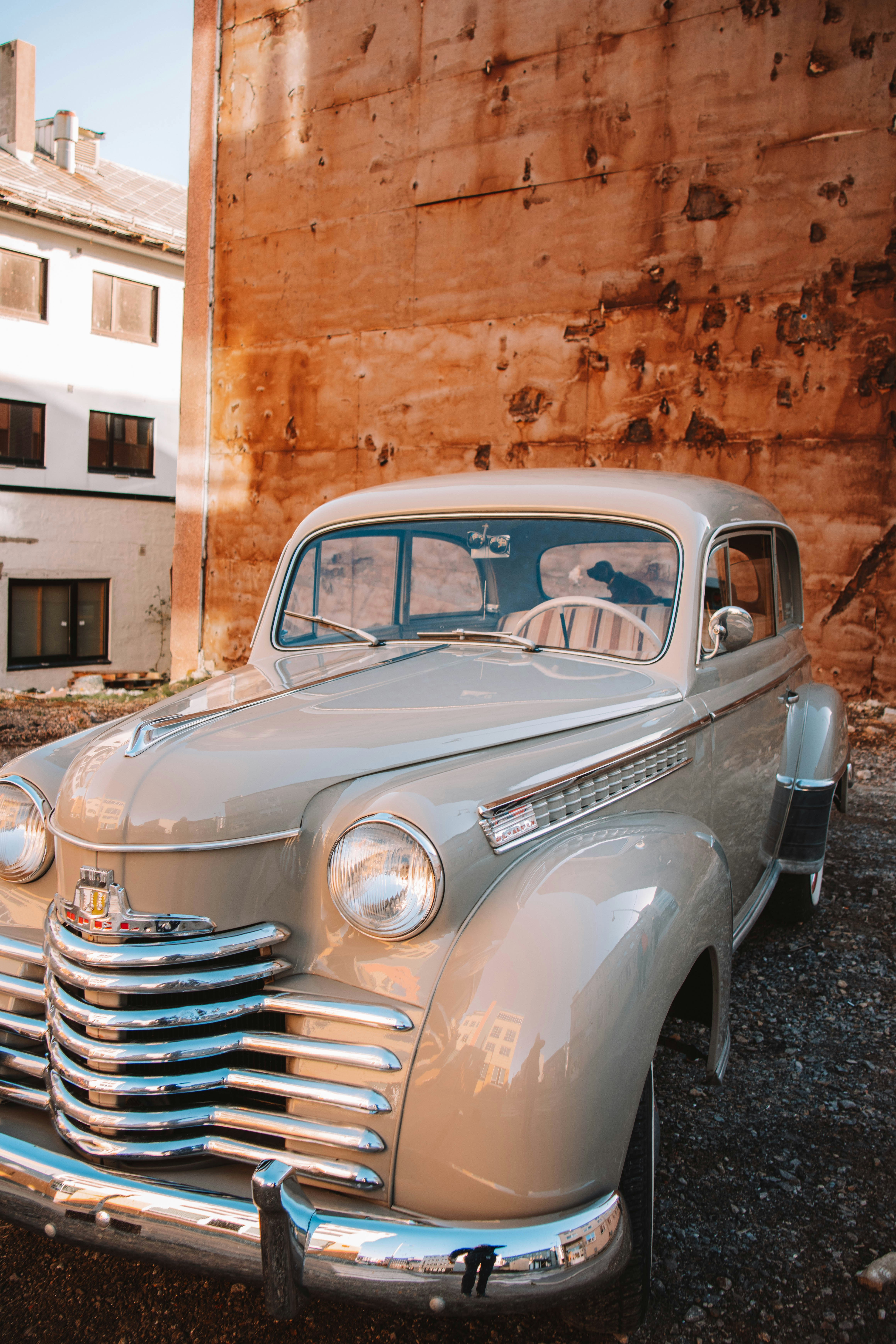 Timeless Elegance: A Classic Car's Heritage