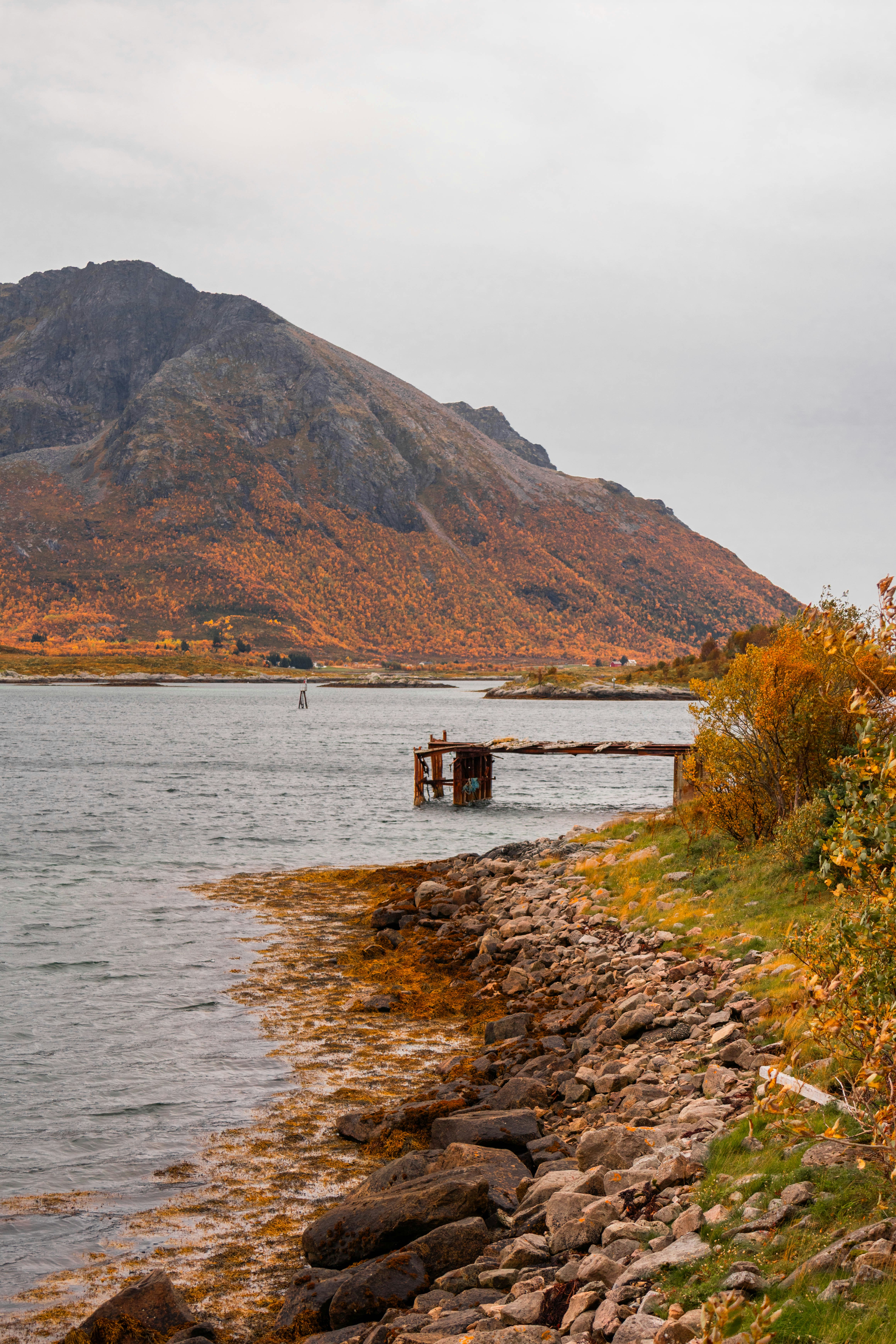 Whispers of Autumn by the Shoreline