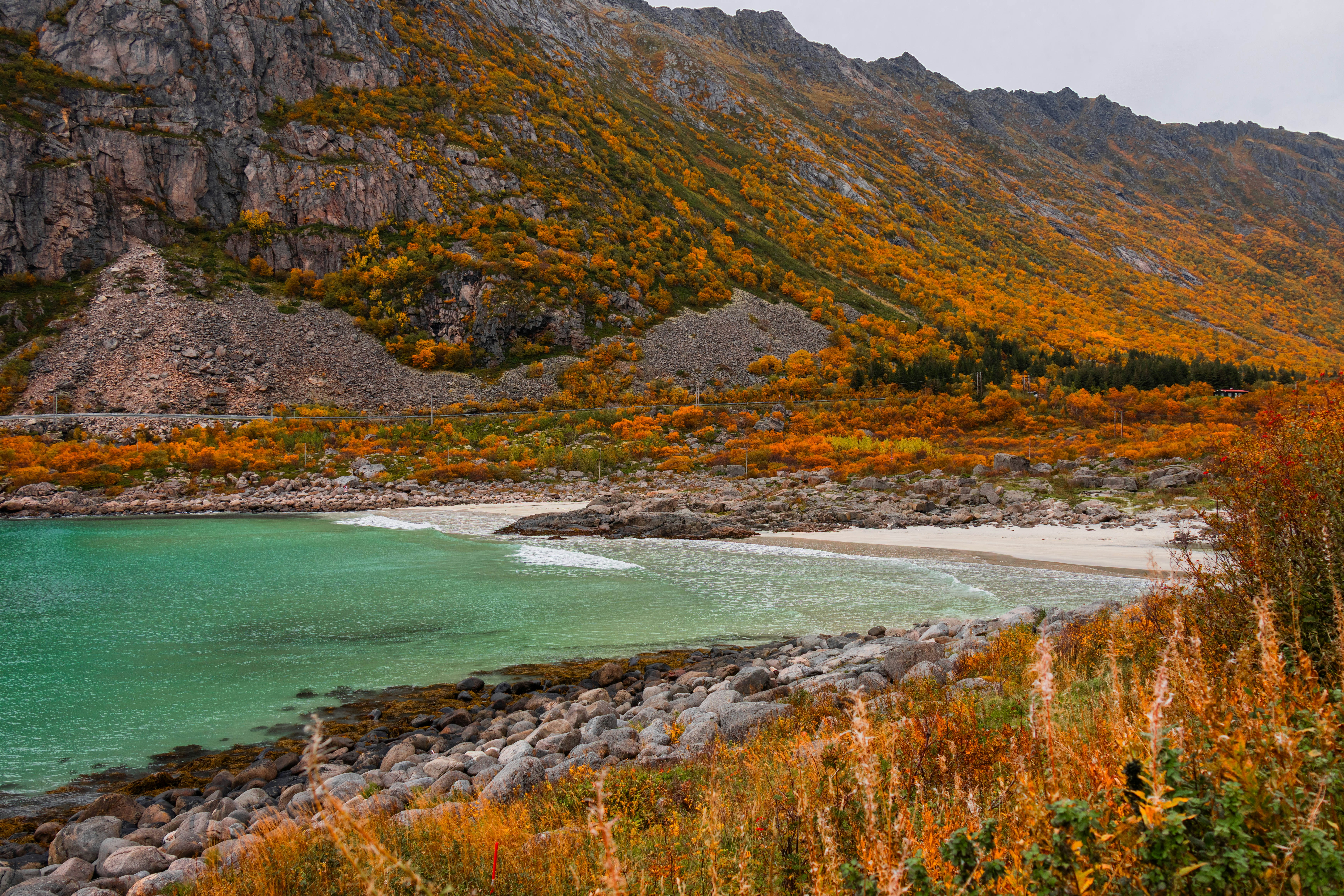 Autumn foliage surrounds a serene beach with turquoise water.