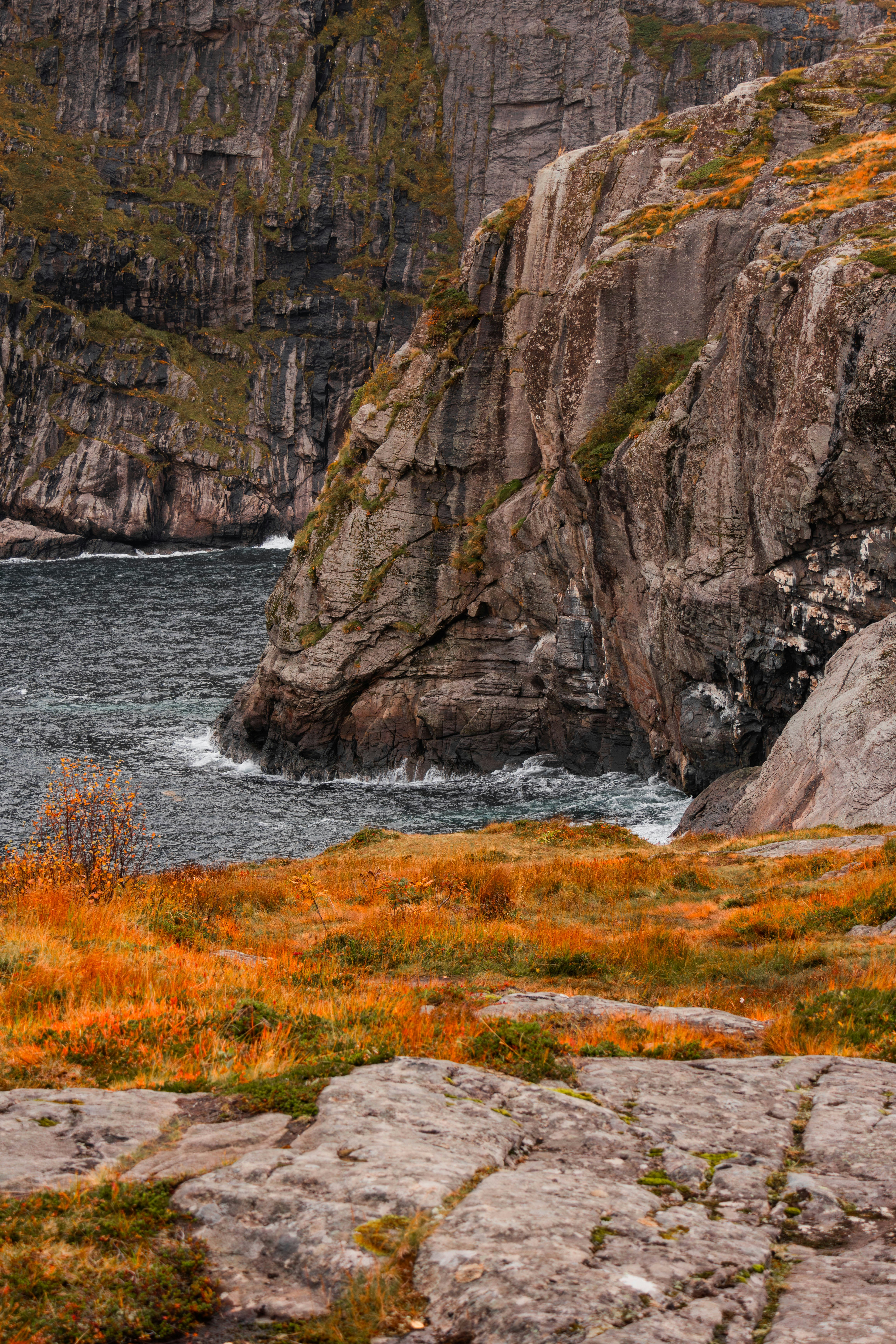 Rugged coastal cliffs with vibrant autumn foliage