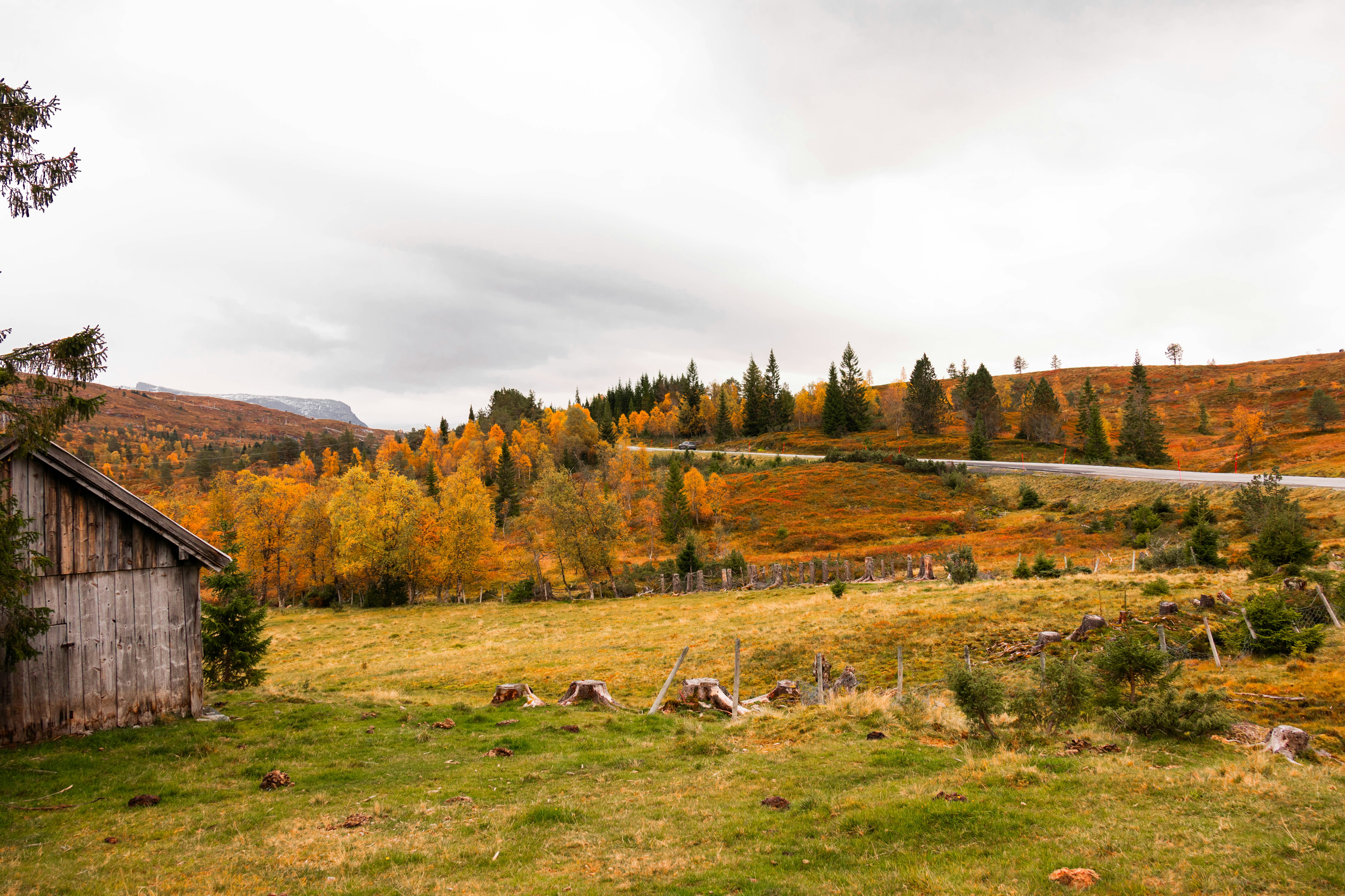 Photo by Ingrid Martinussen with Canon EOS R7