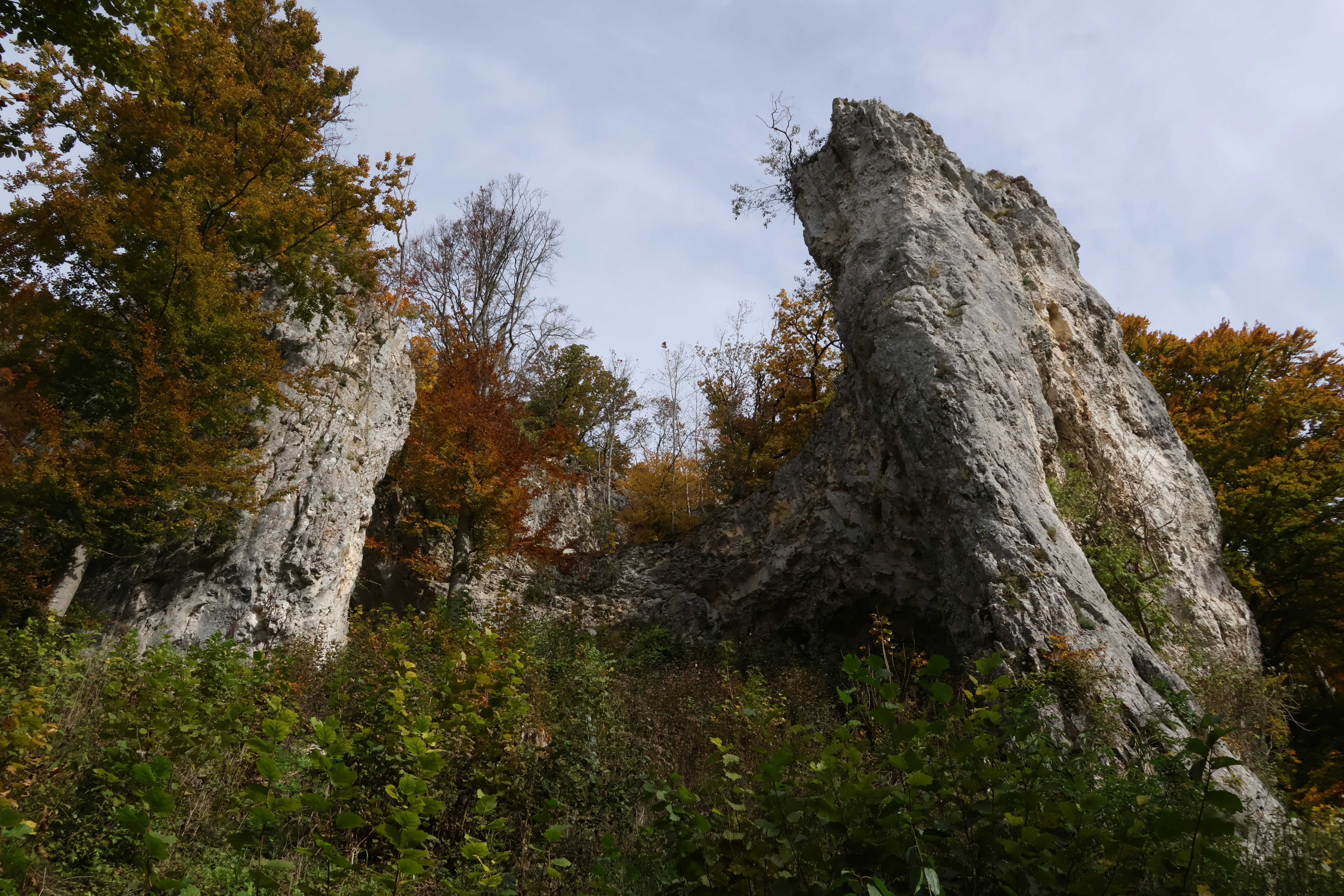 Tall rock formations surrounded by autumn trees
