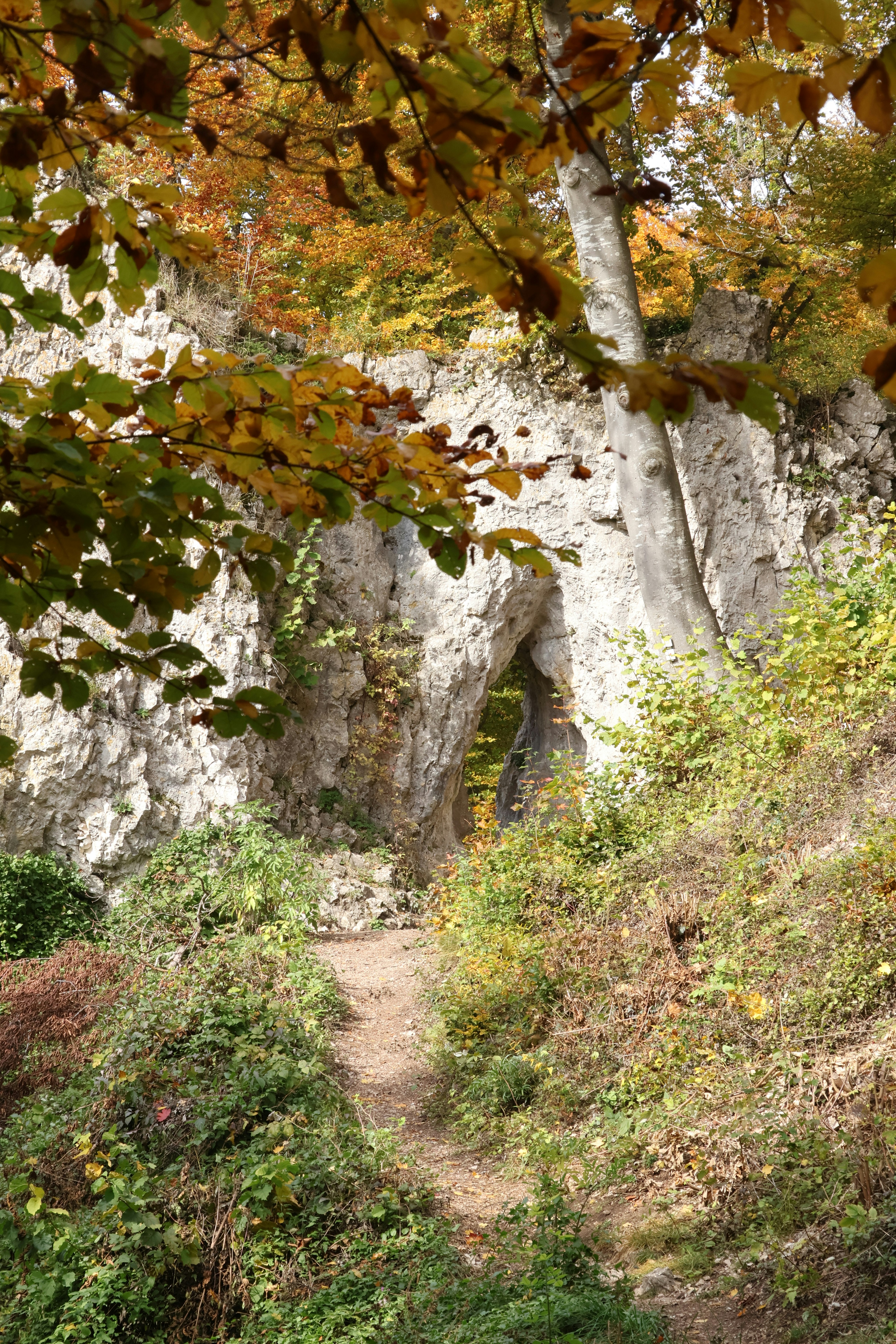 Path leading to an opening in a rocky cliff face.