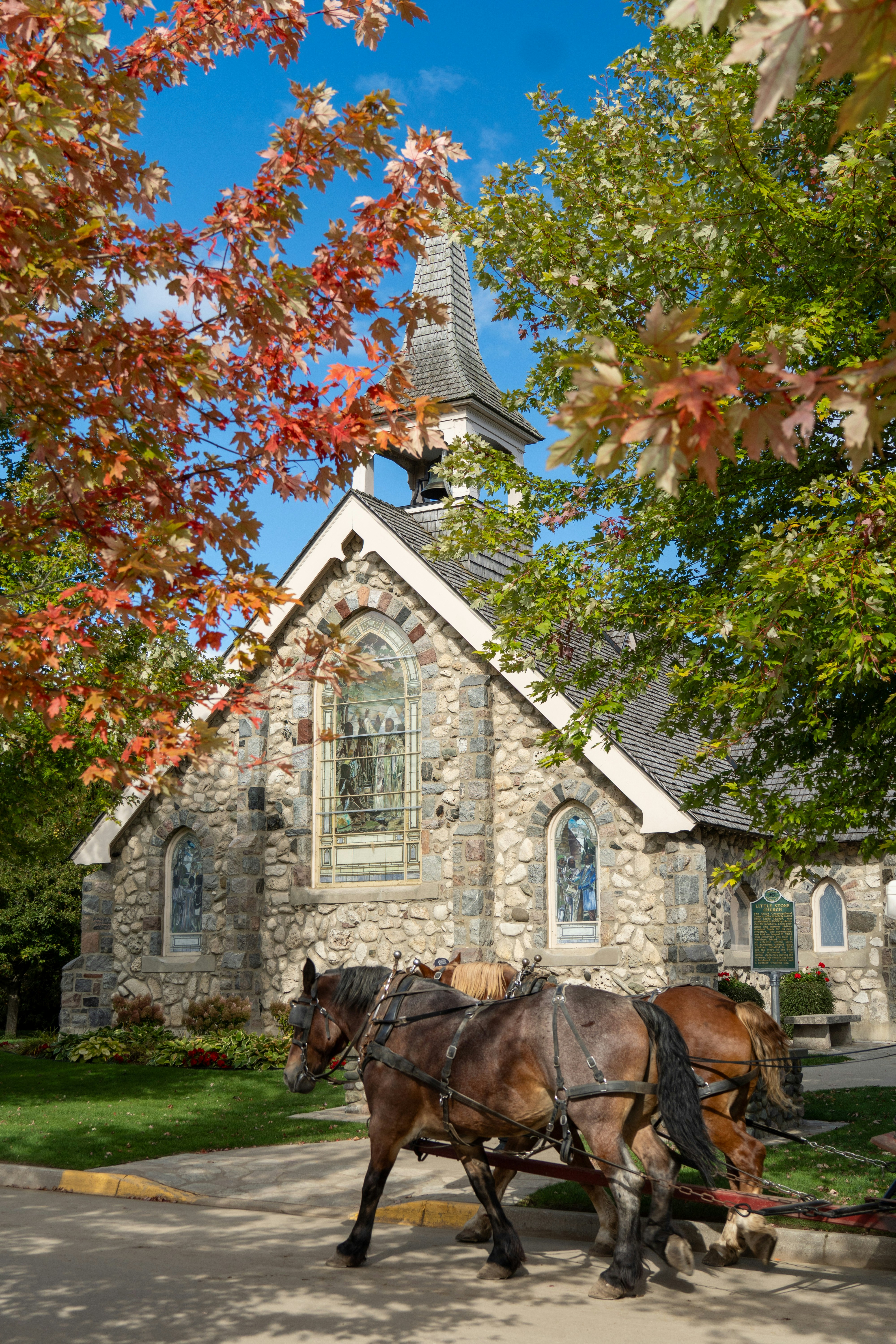 Autumn Canopy over a Stone Church: Draft Horses at the Front Steps