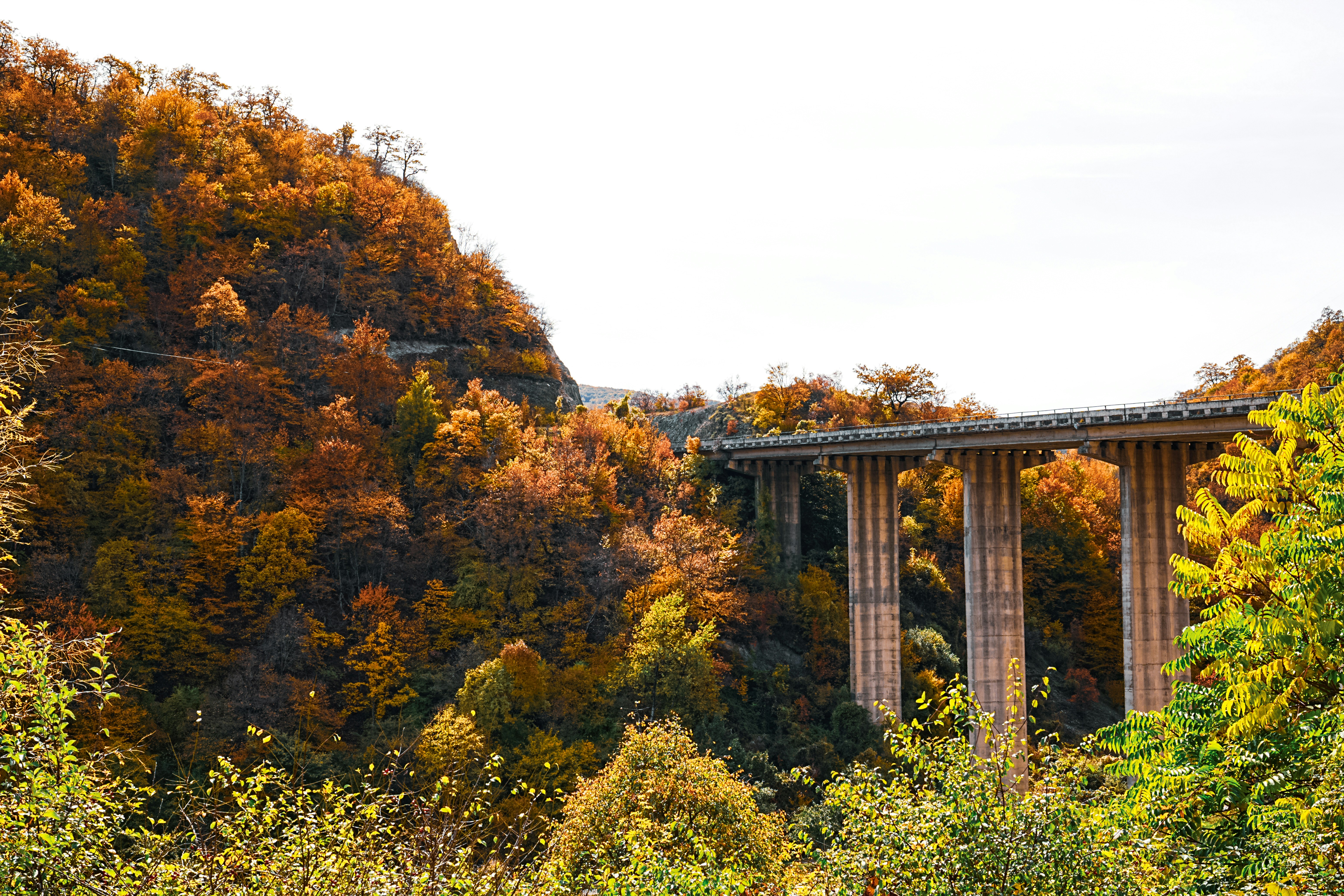 Bridge in autumn forest with colorful trees