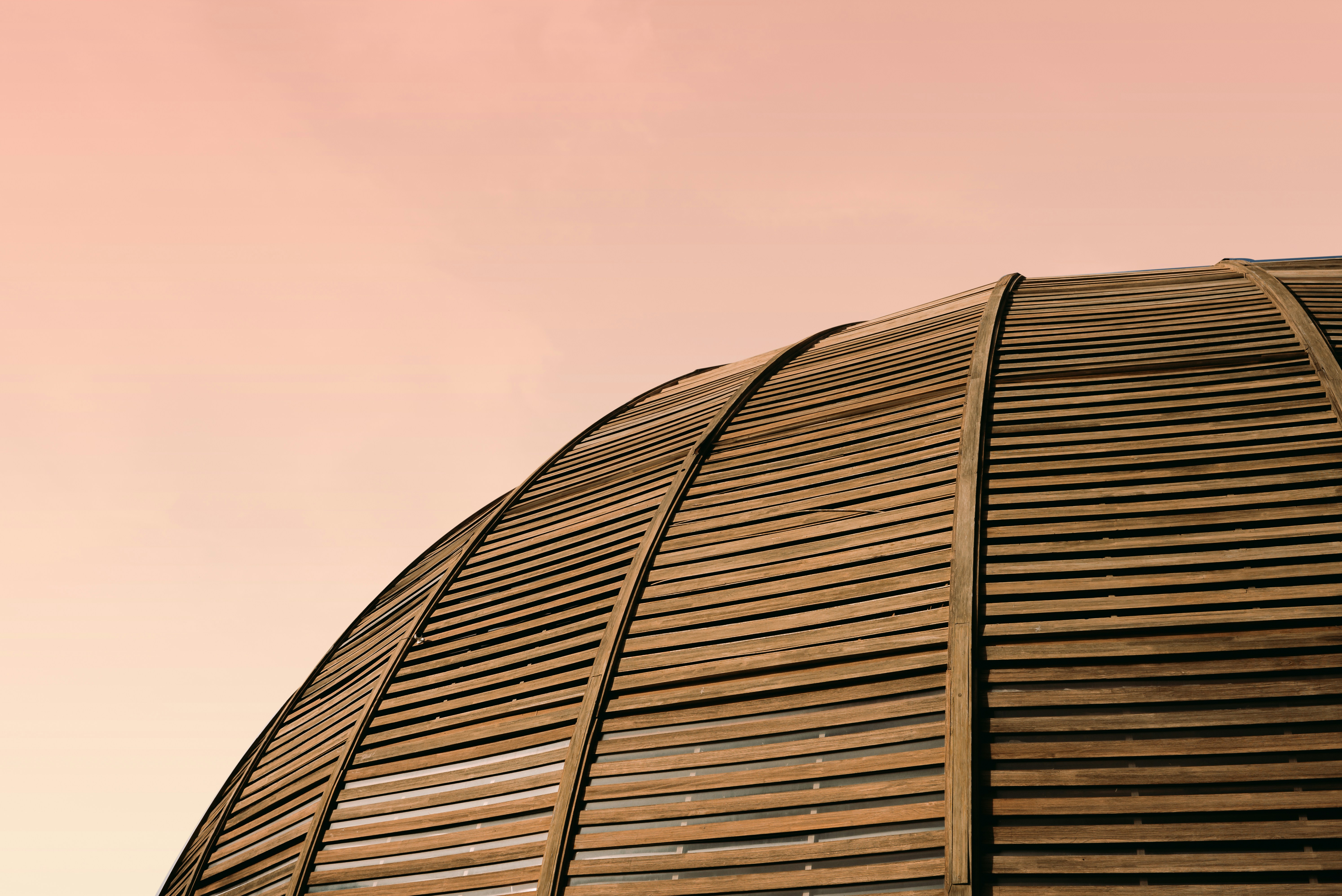 Curved Harmony: The Art of Wooden Architecture