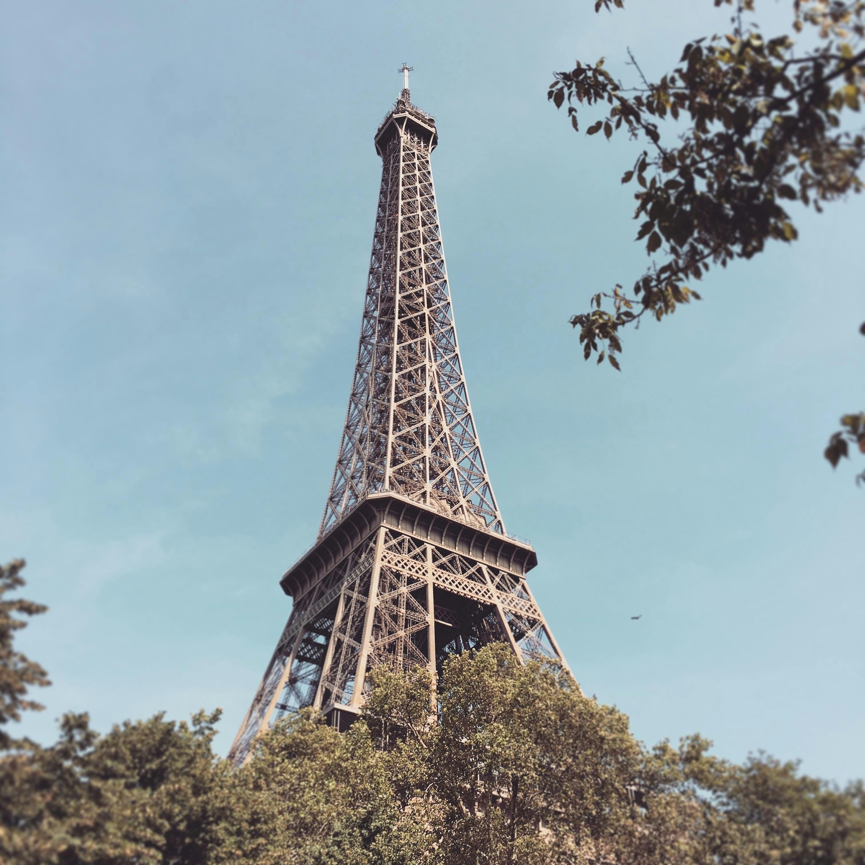 The eiffel tower seen through green trees