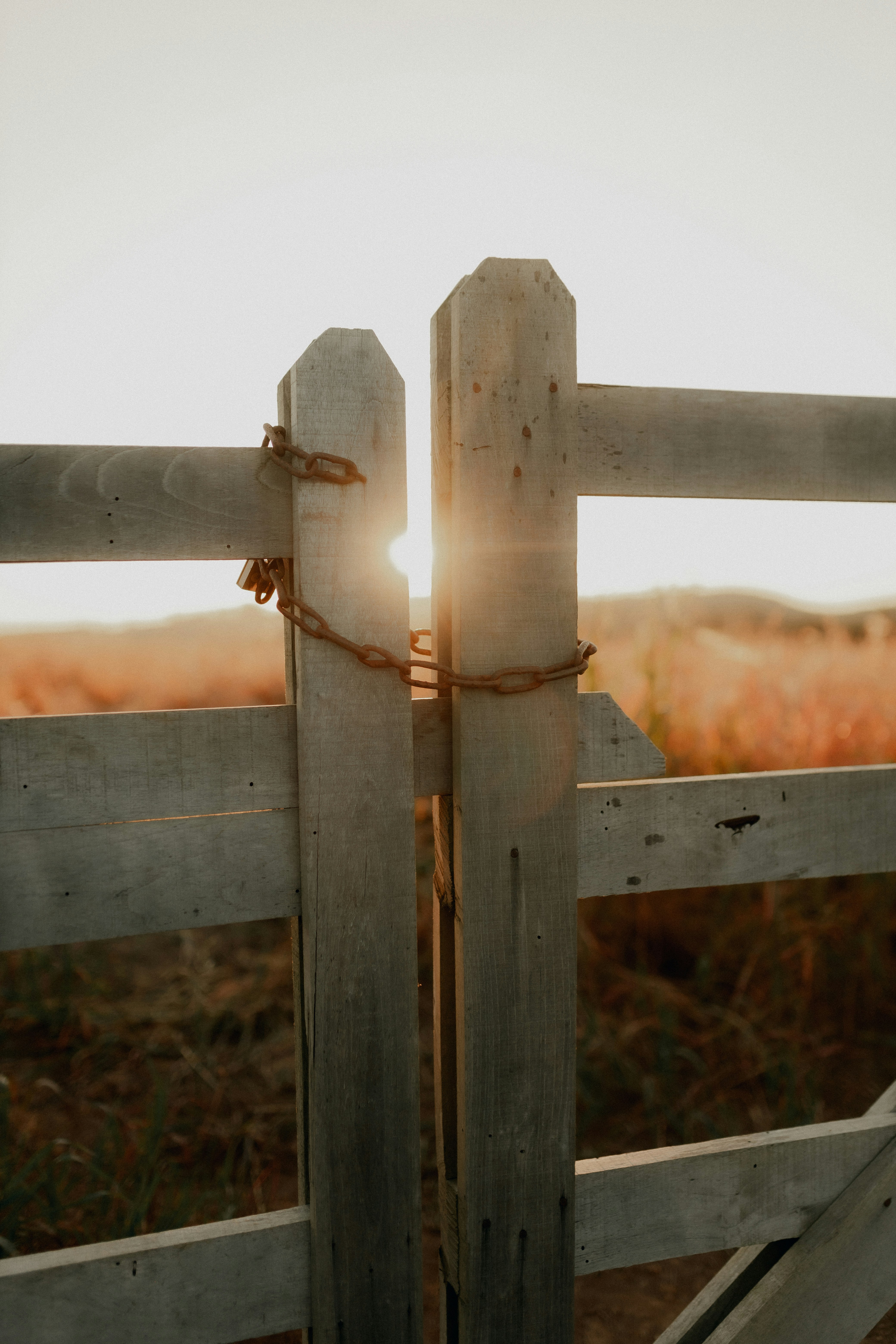 Wooden gate with a chain, framing the sun setting in a field of soft hues. The warm light spills through the gap, inviting exploration.