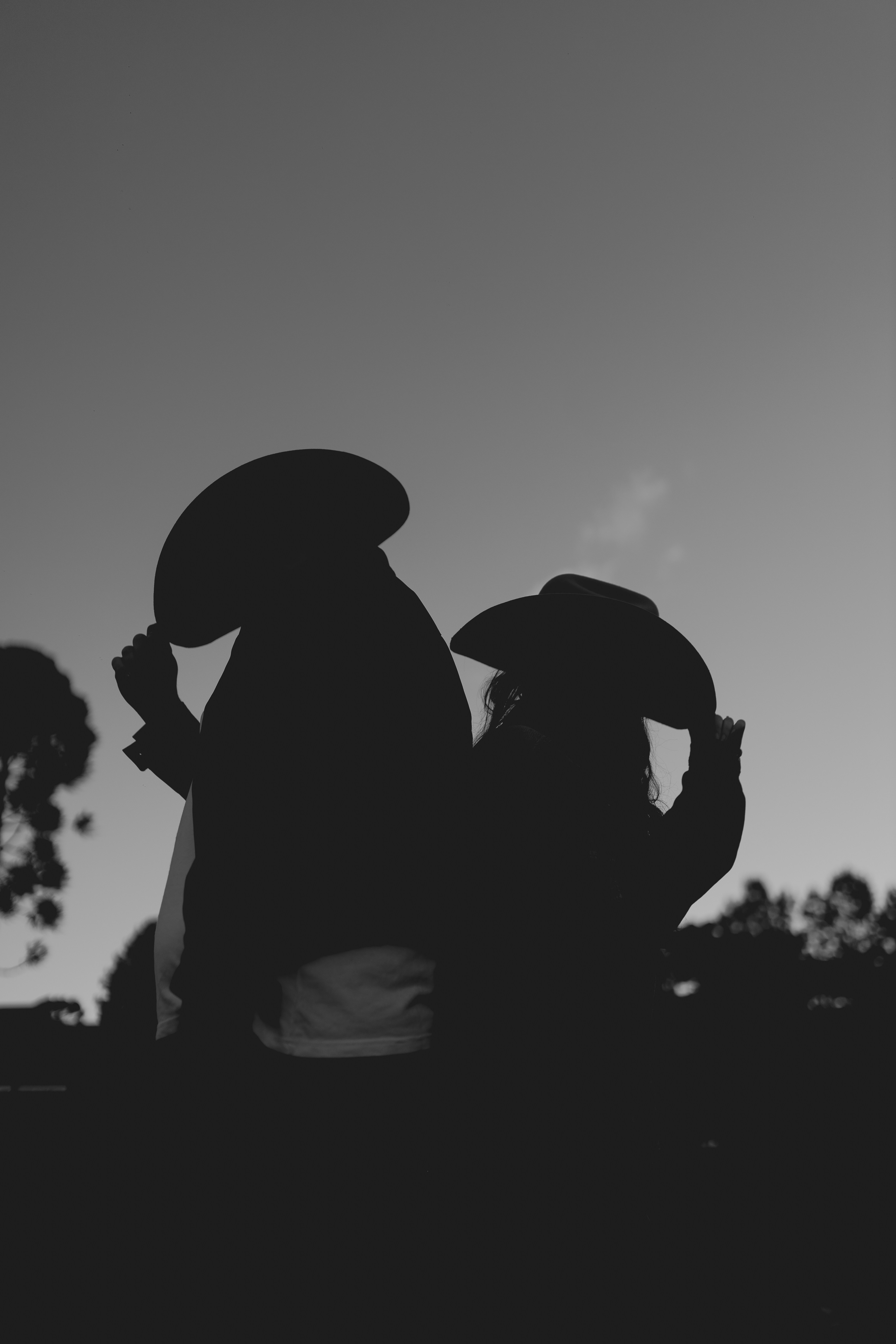 Shadows of Connection: A Dual Silhouette