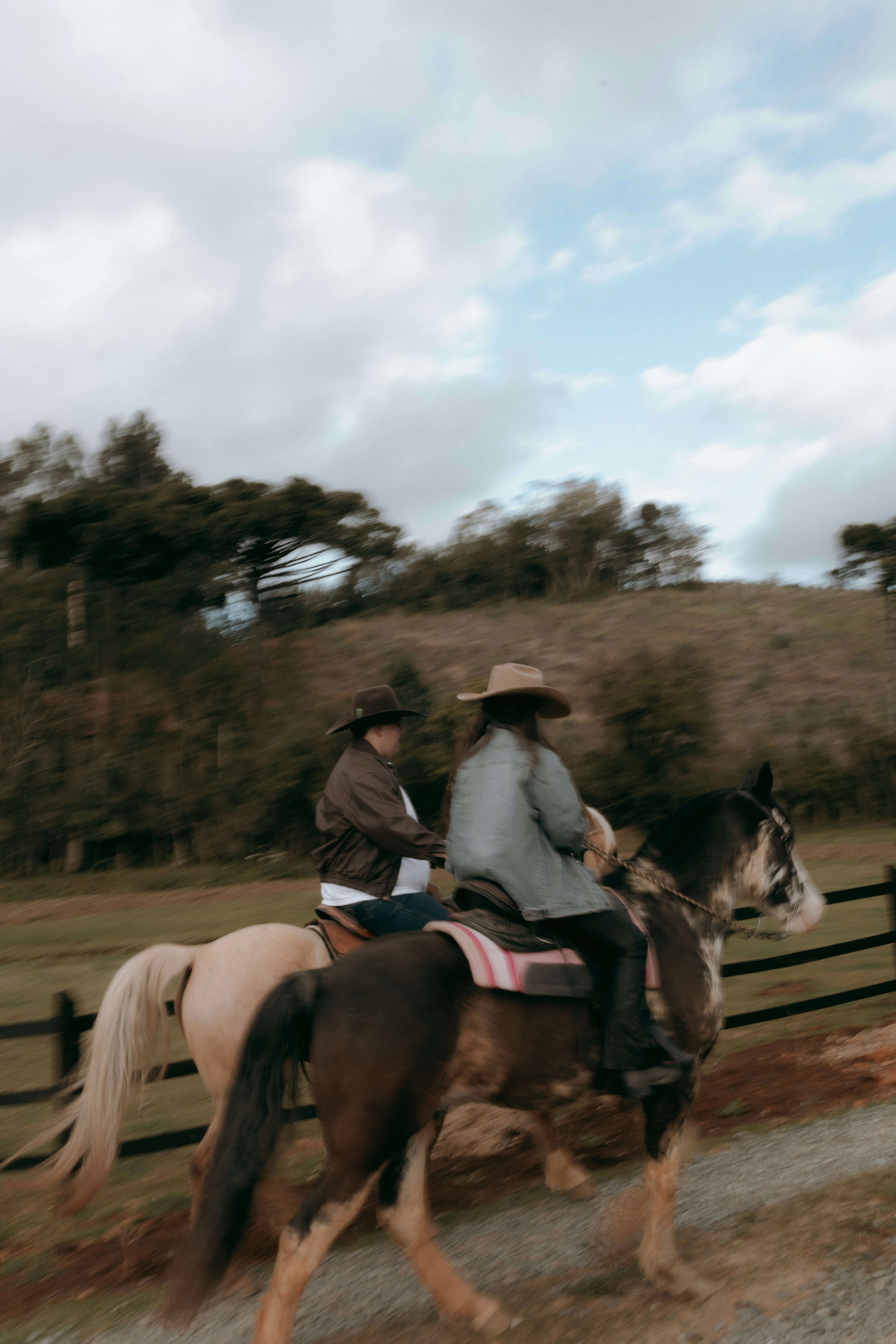 Two people riding horses on a trail