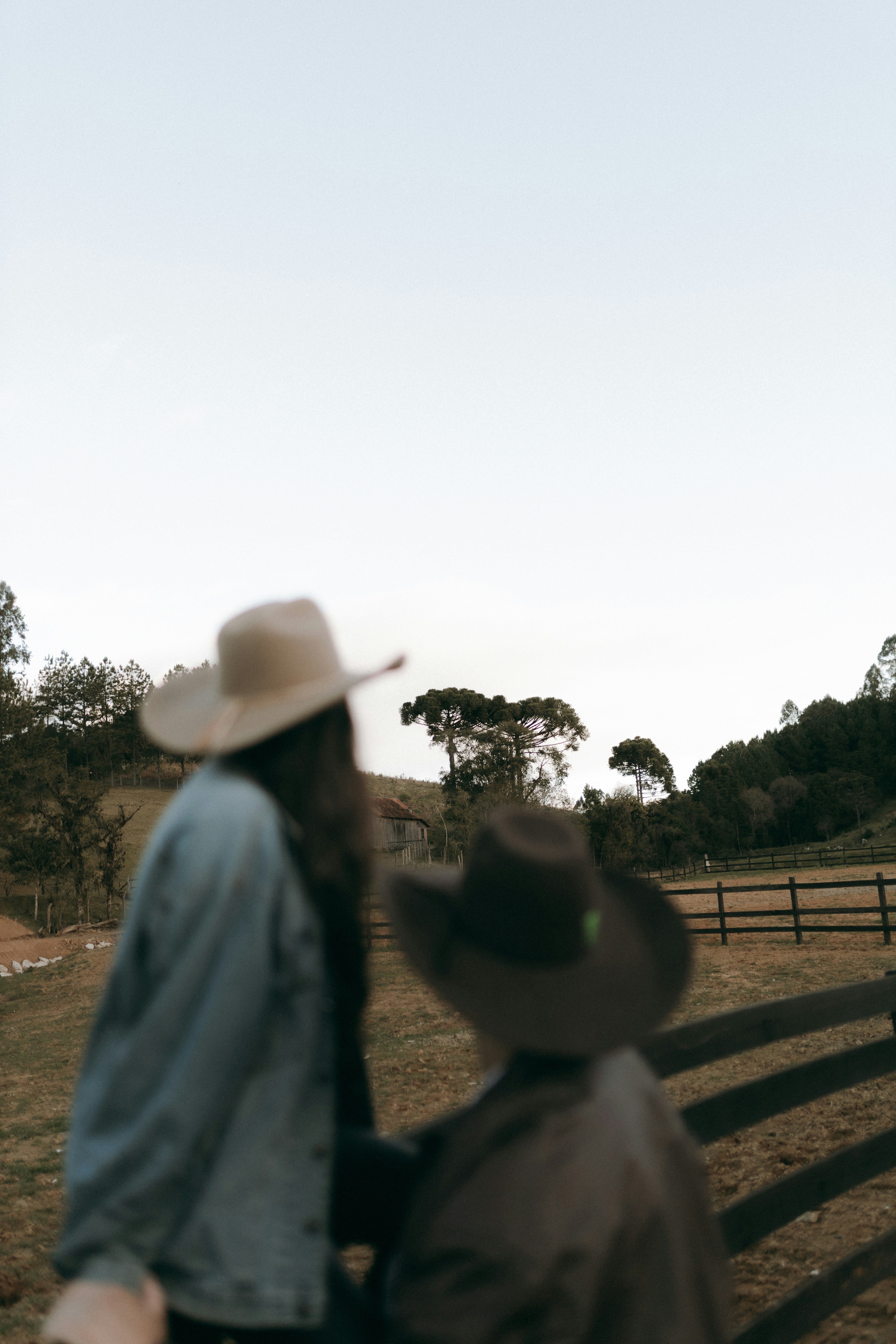 Whispers of the Open Range