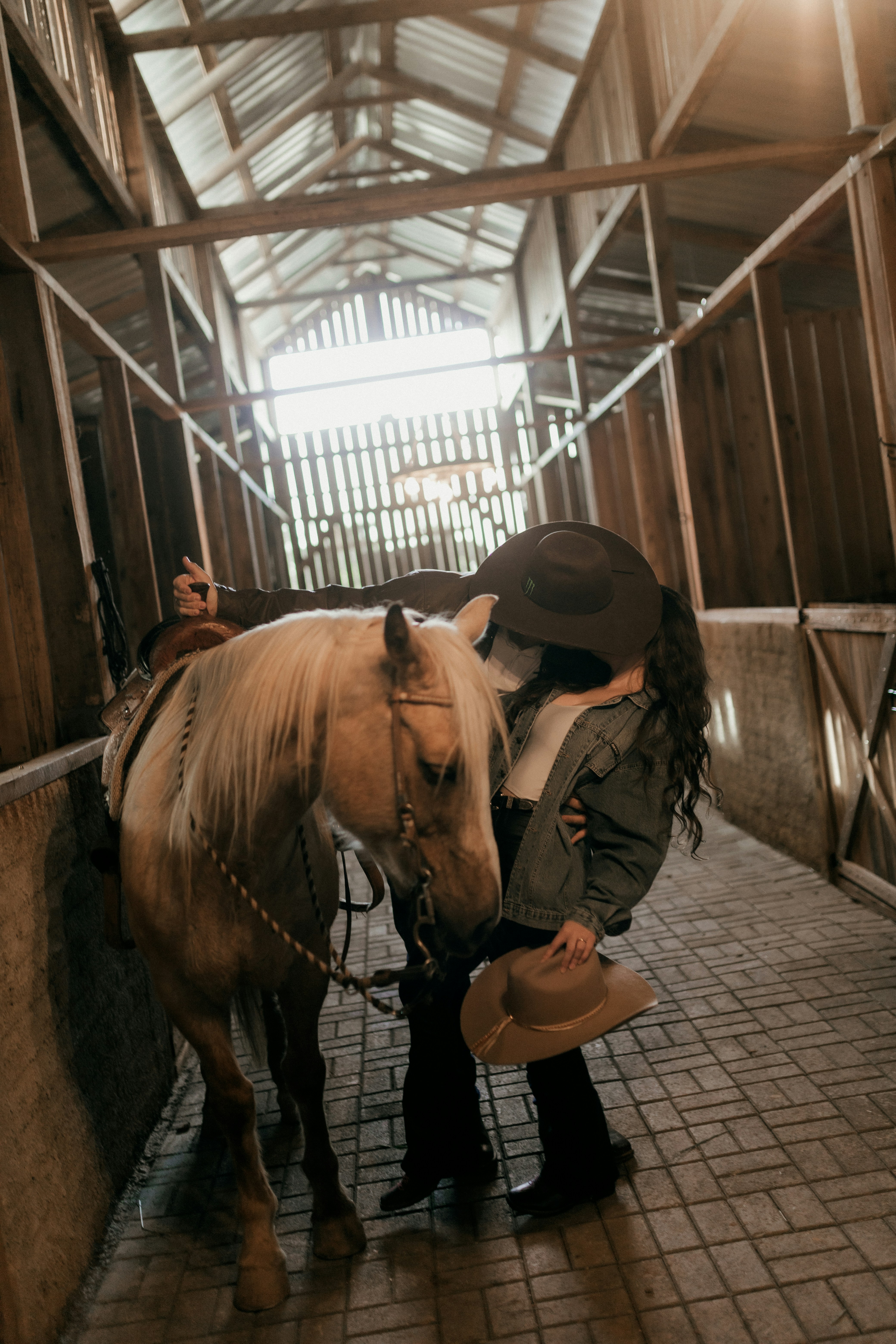 Whispers of the Stable: A Moment of Connection
