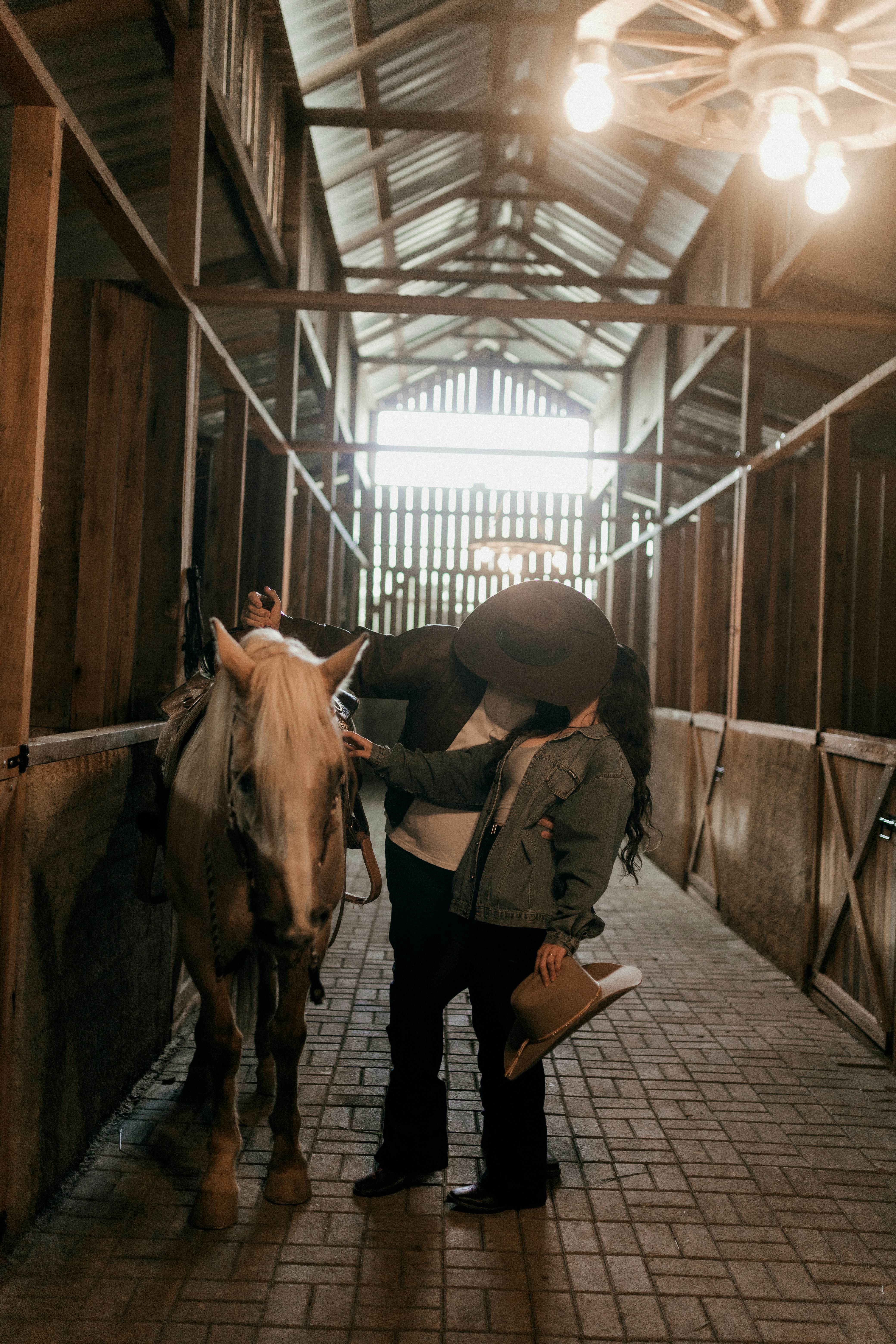 Equestrian Affection in the Barn