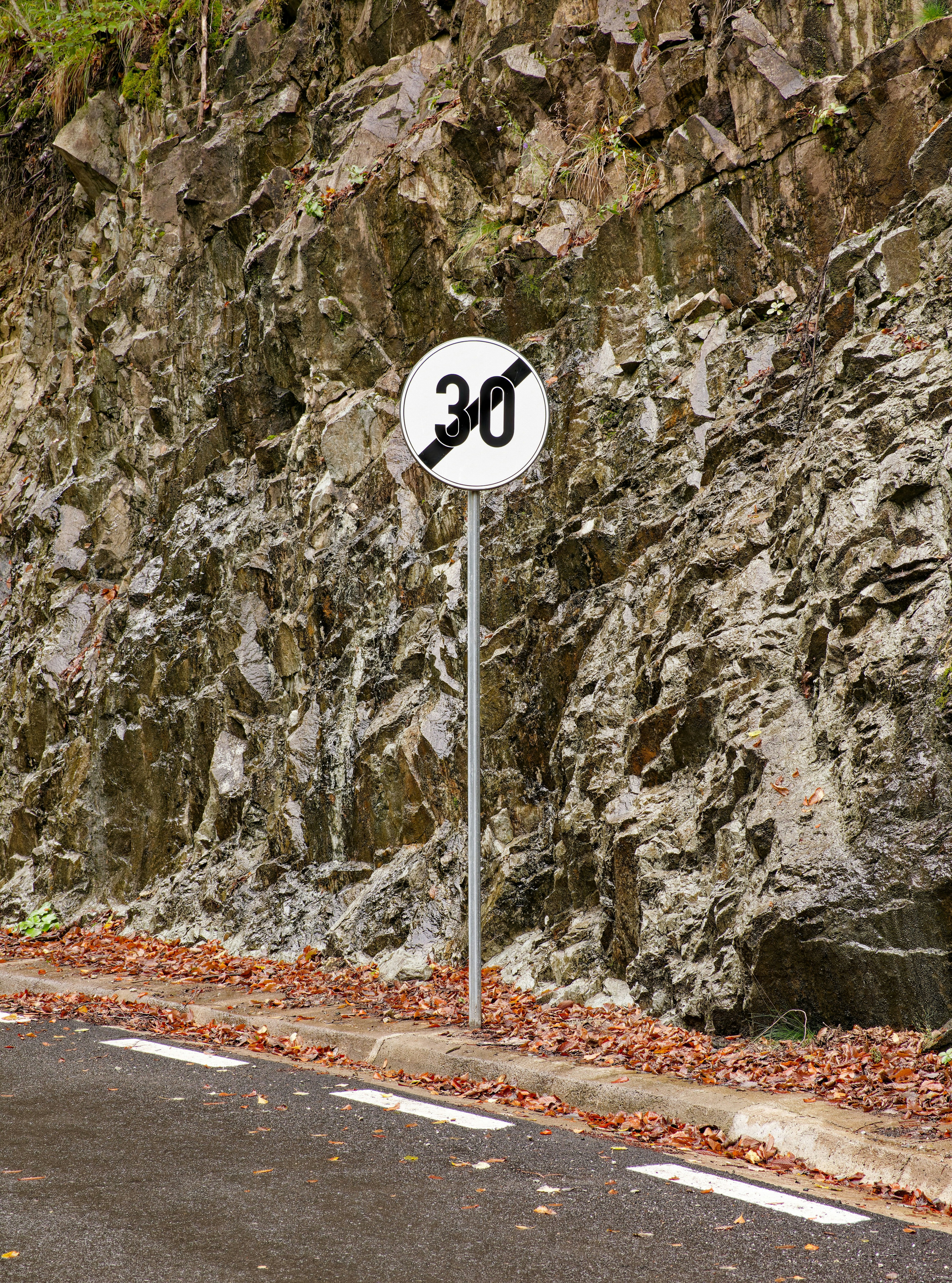 Speed Limit Serenity: Nature Meets Regulation